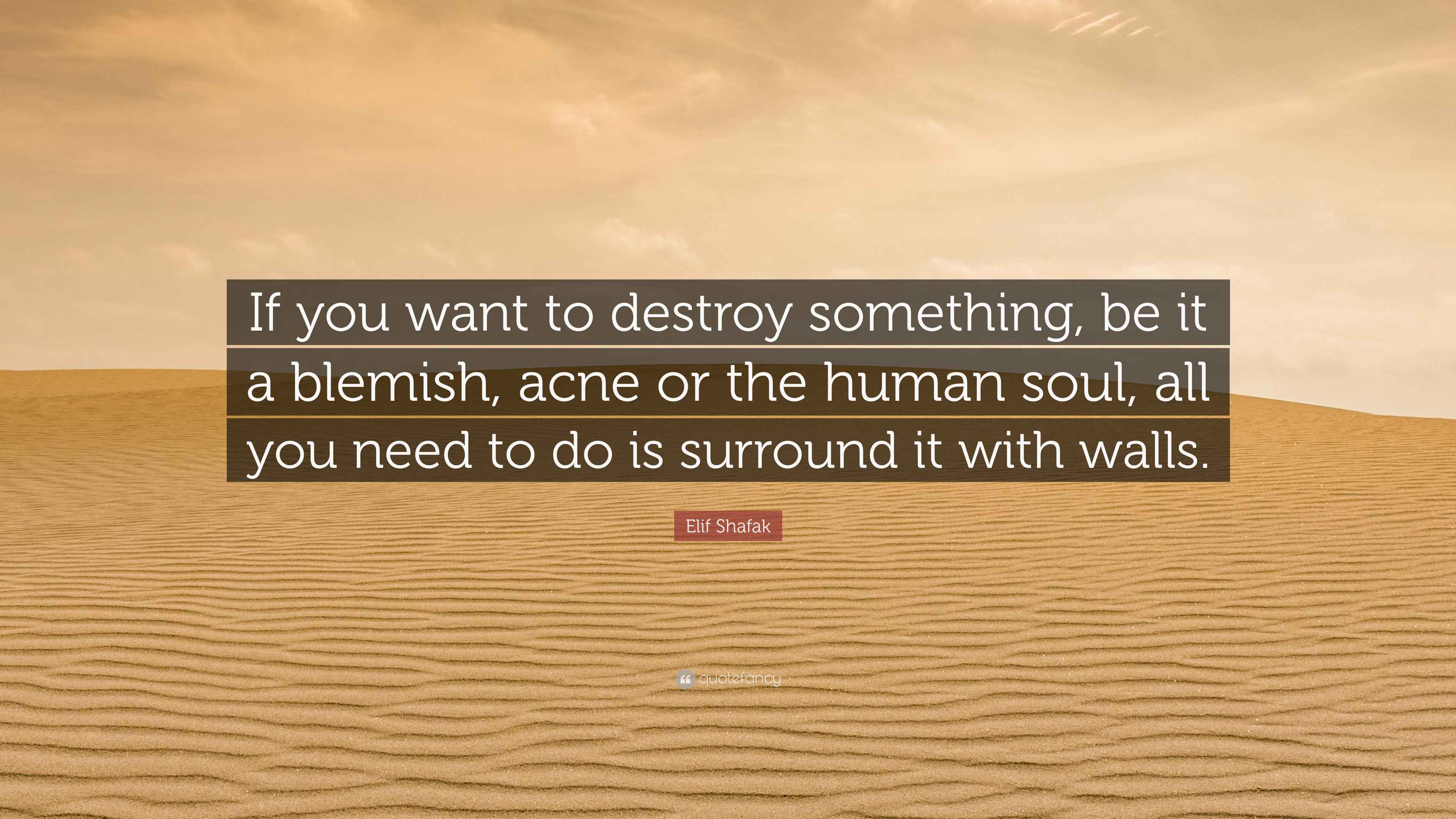 Elif Shafak Quote: “If you want to destroy something, be it a blemish ...