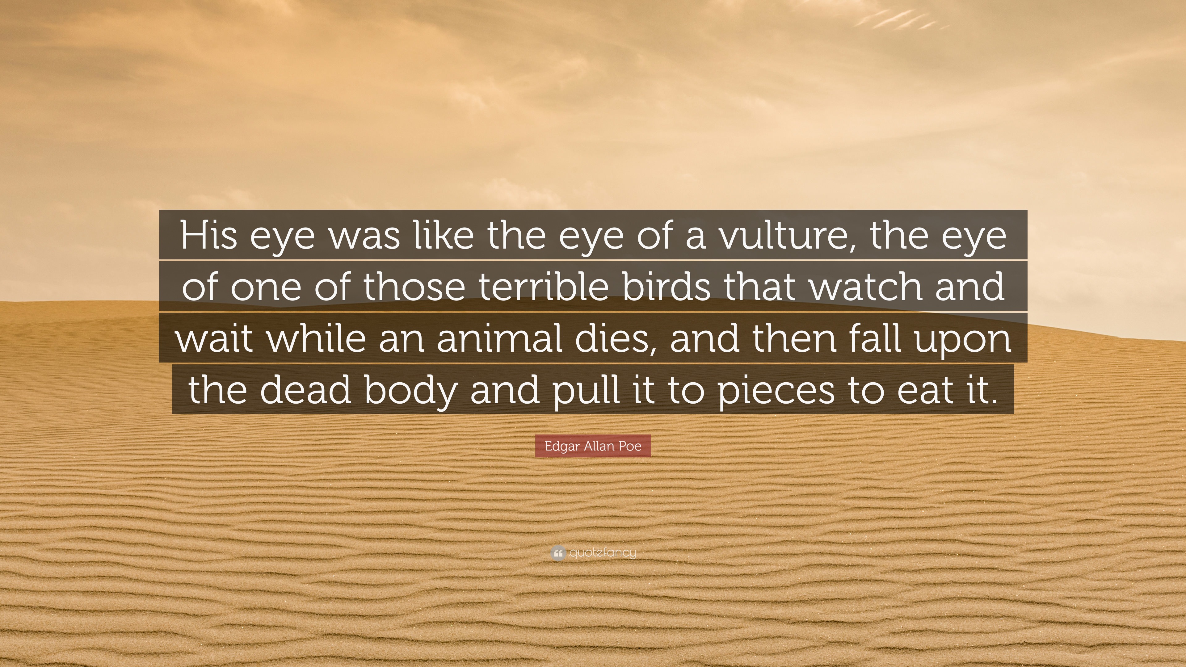 Edgar Allan Poe Quote: “His eye was like the eye of a vulture, the eye ...