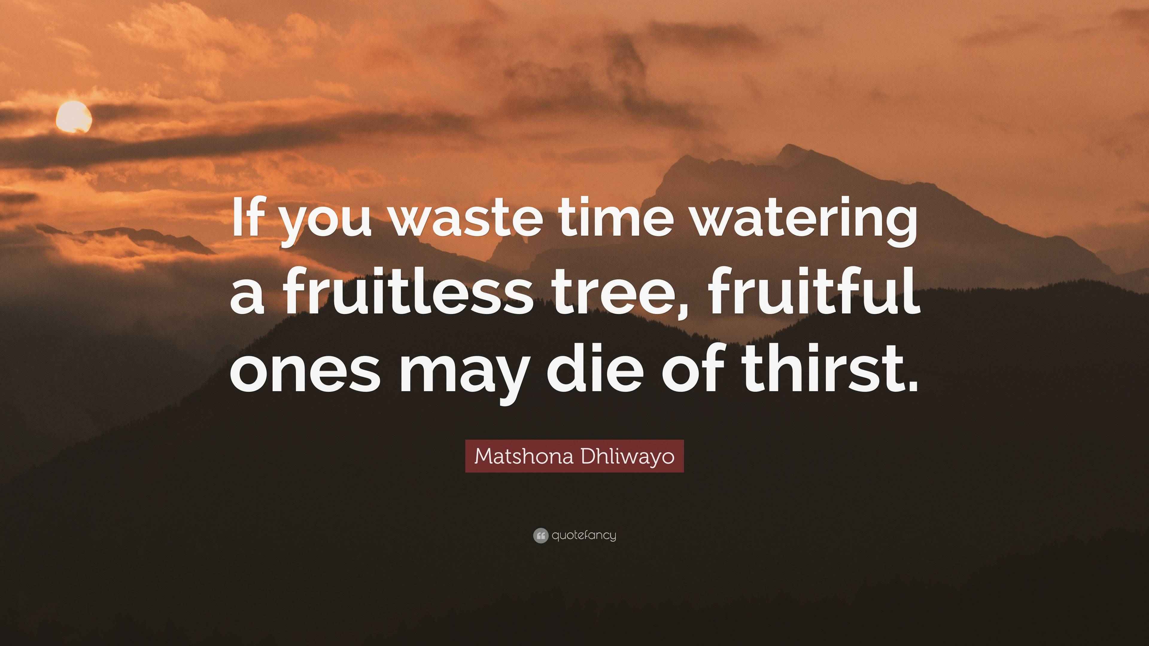 Matshona Dhliwayo Quote: “If you waste time watering a fruitless tree ...