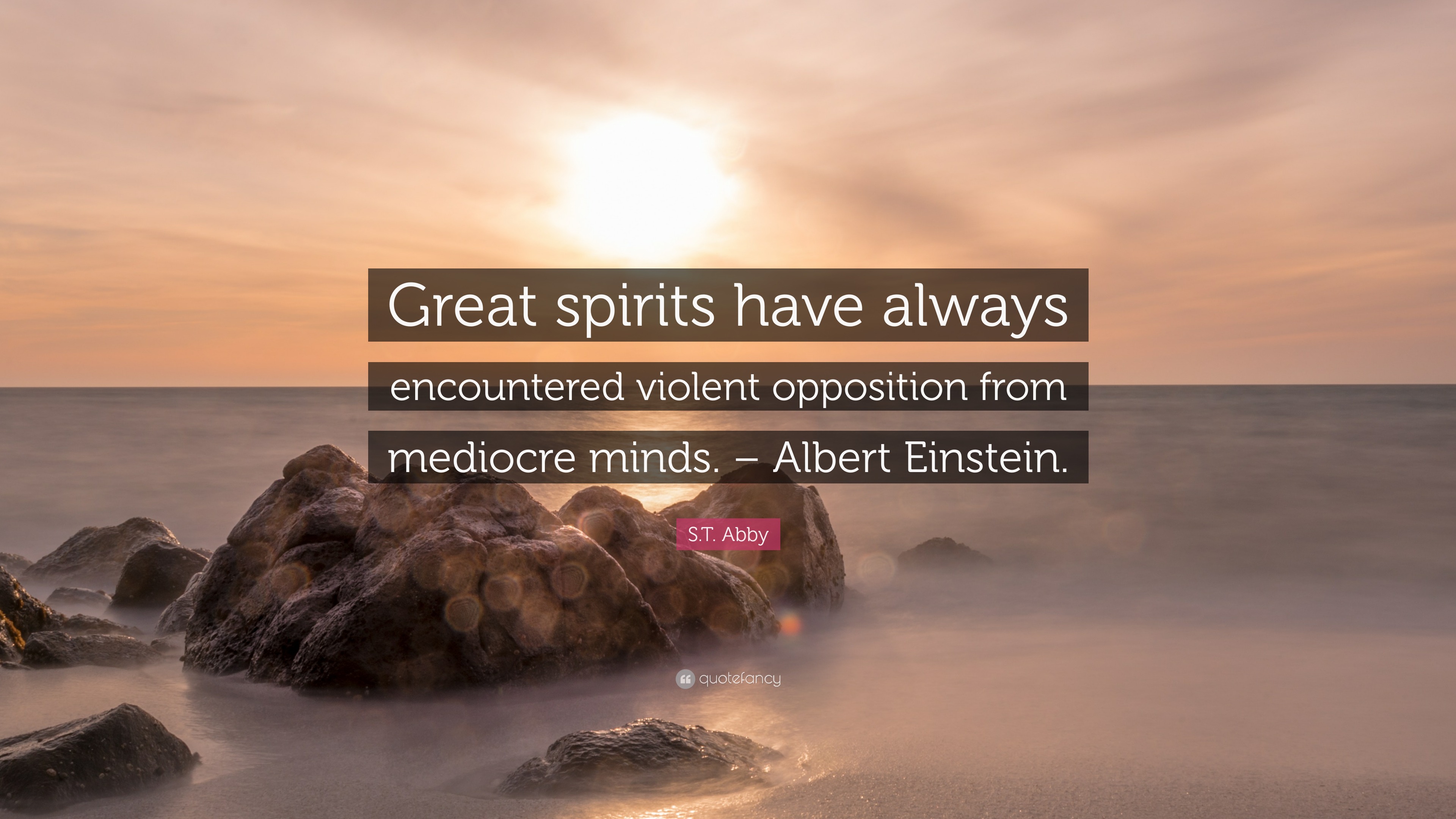 S.T. Abby Quote: “Great spirits have always encountered violent opposition from mediocre minds ...
