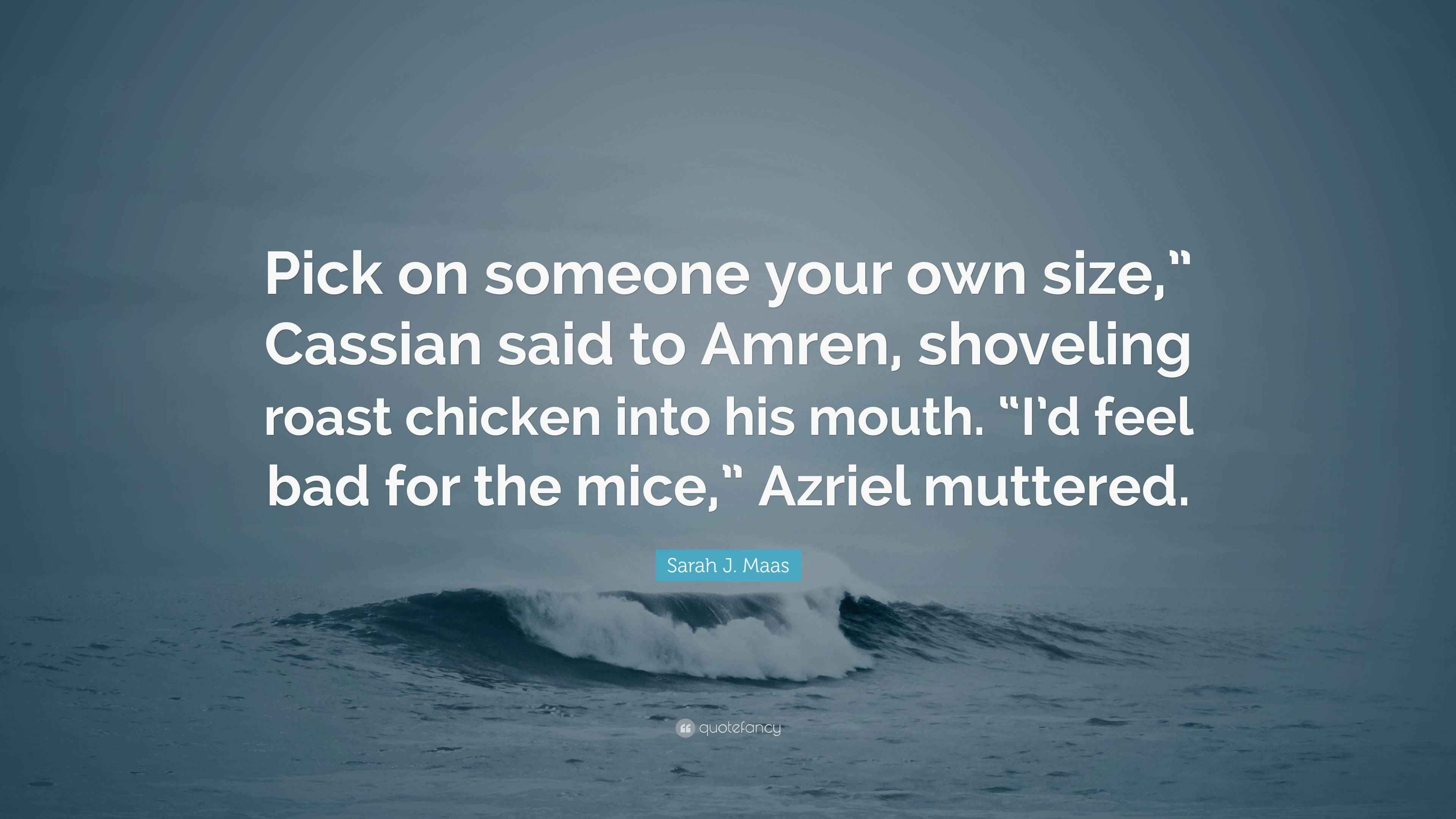 Sarah J. Maas Quote: “Pick on someone your own size,” Cassian said to ...
