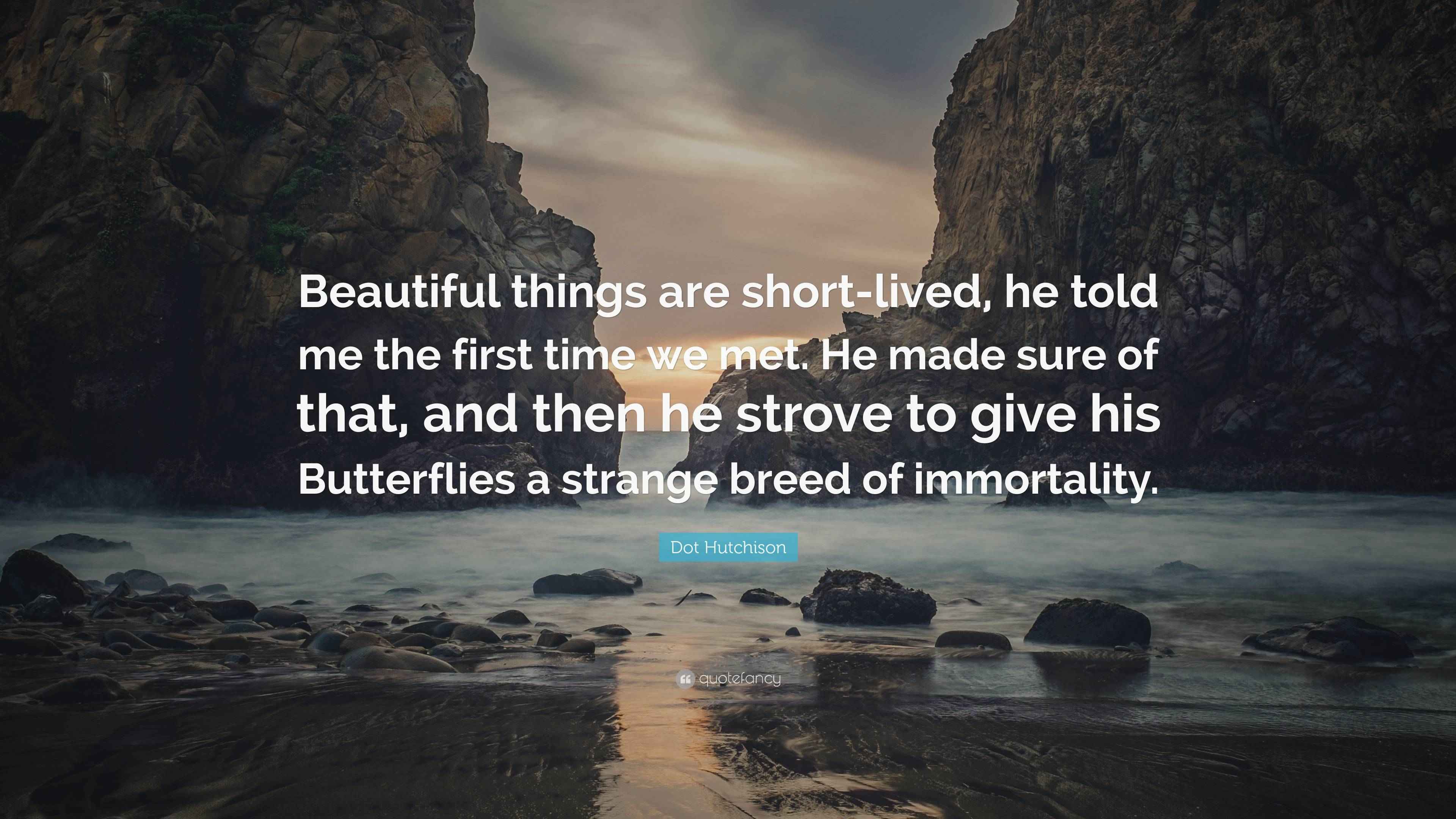 Dot Hutchison Quote: “Beautiful things are short-lived, he told me the ...