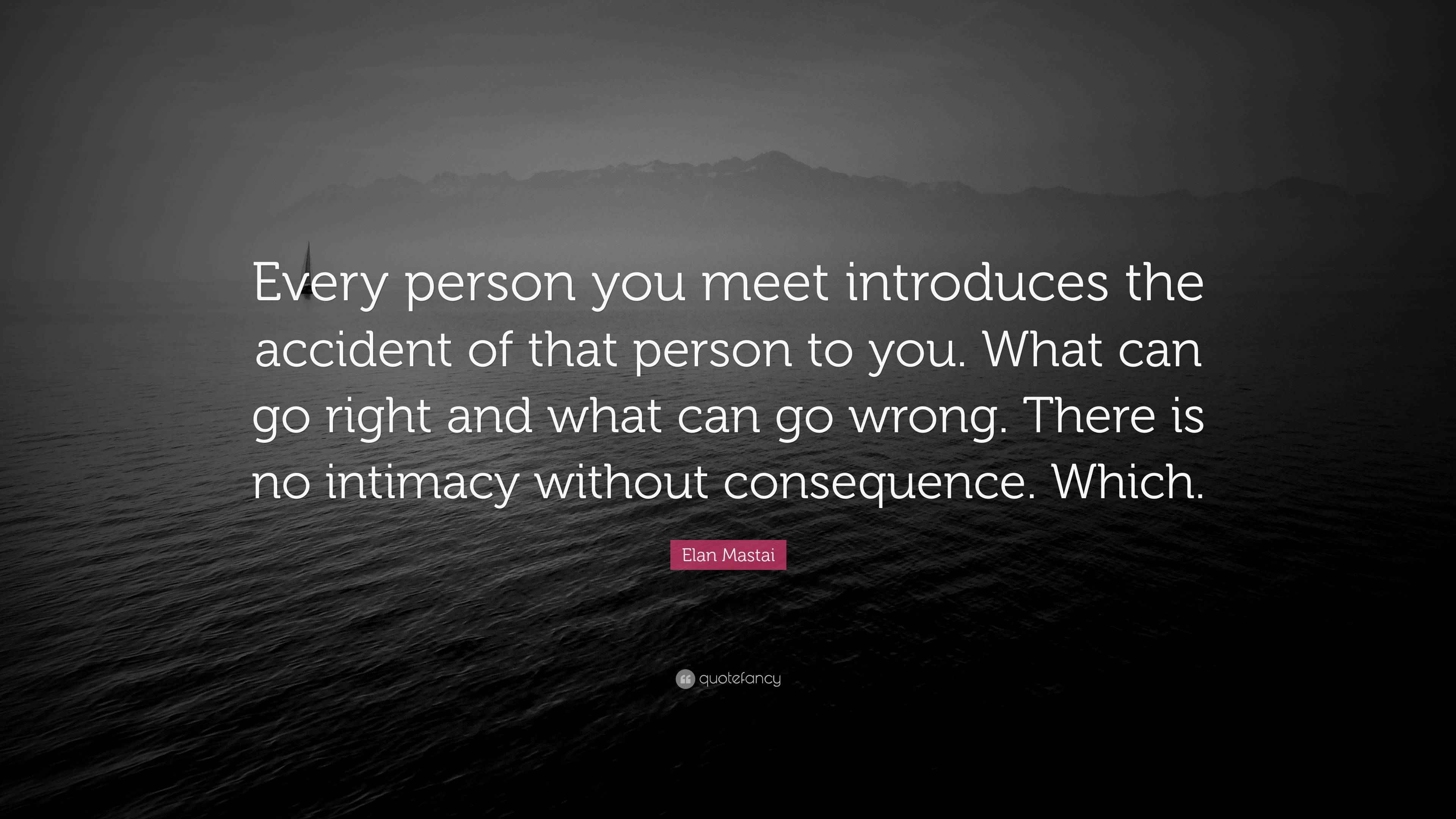 Elan Mastai Quote: “Every person you meet introduces the accident of ...