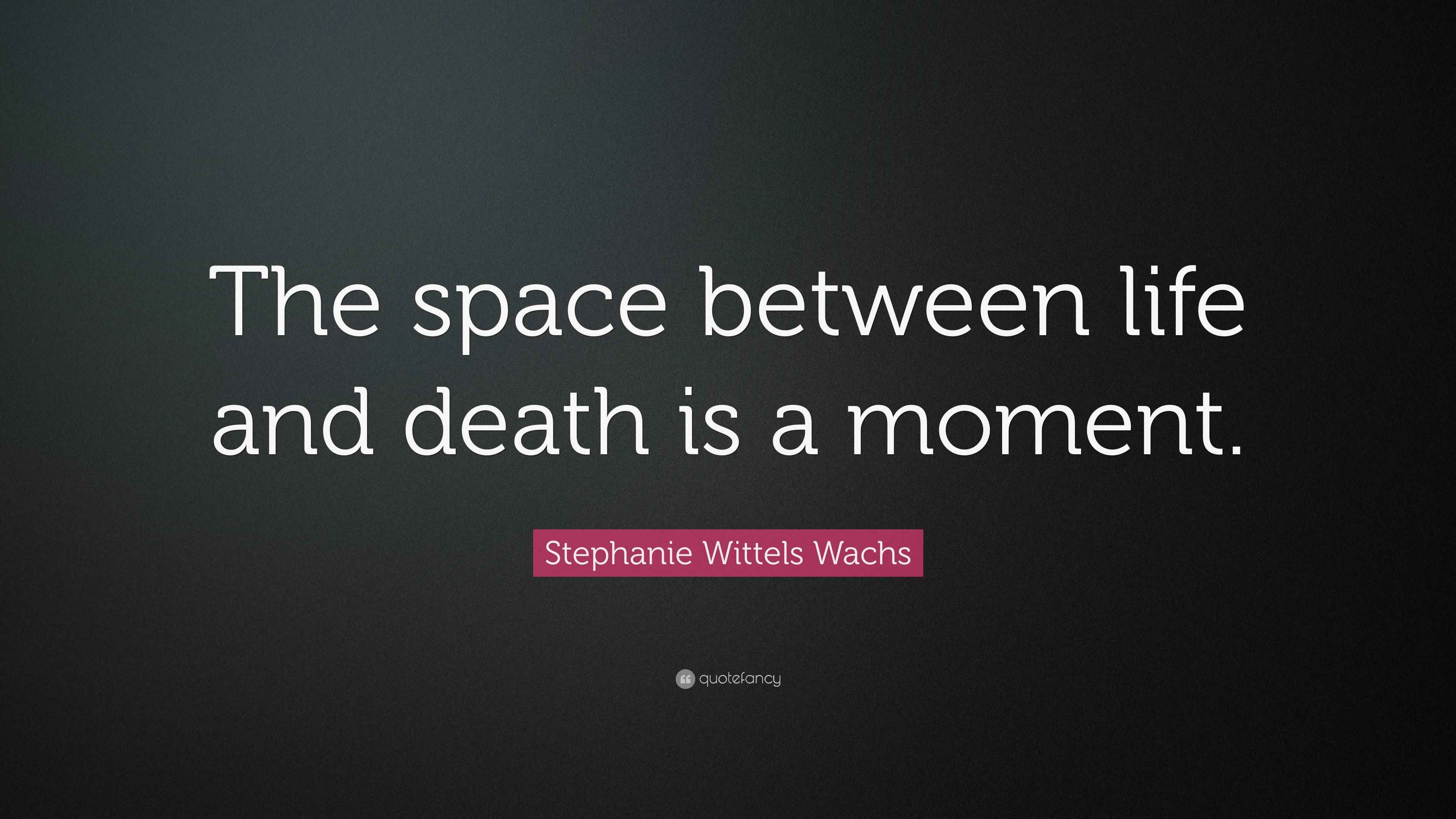 Stephanie Wittels Wachs Quote: “The space between life and death is a ...