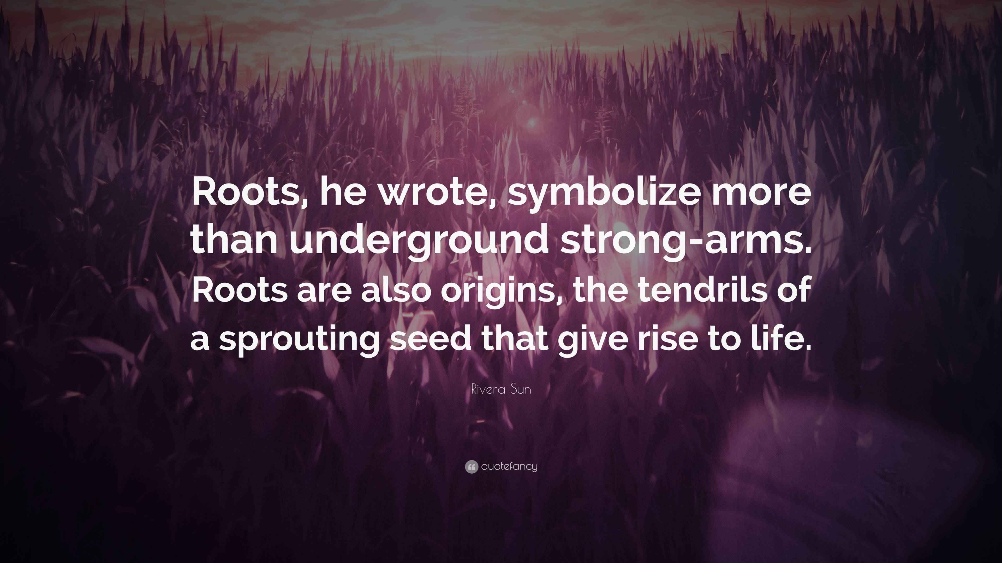 Rivera Sun Quote: “Roots, he wrote, symbolize more than underground ...