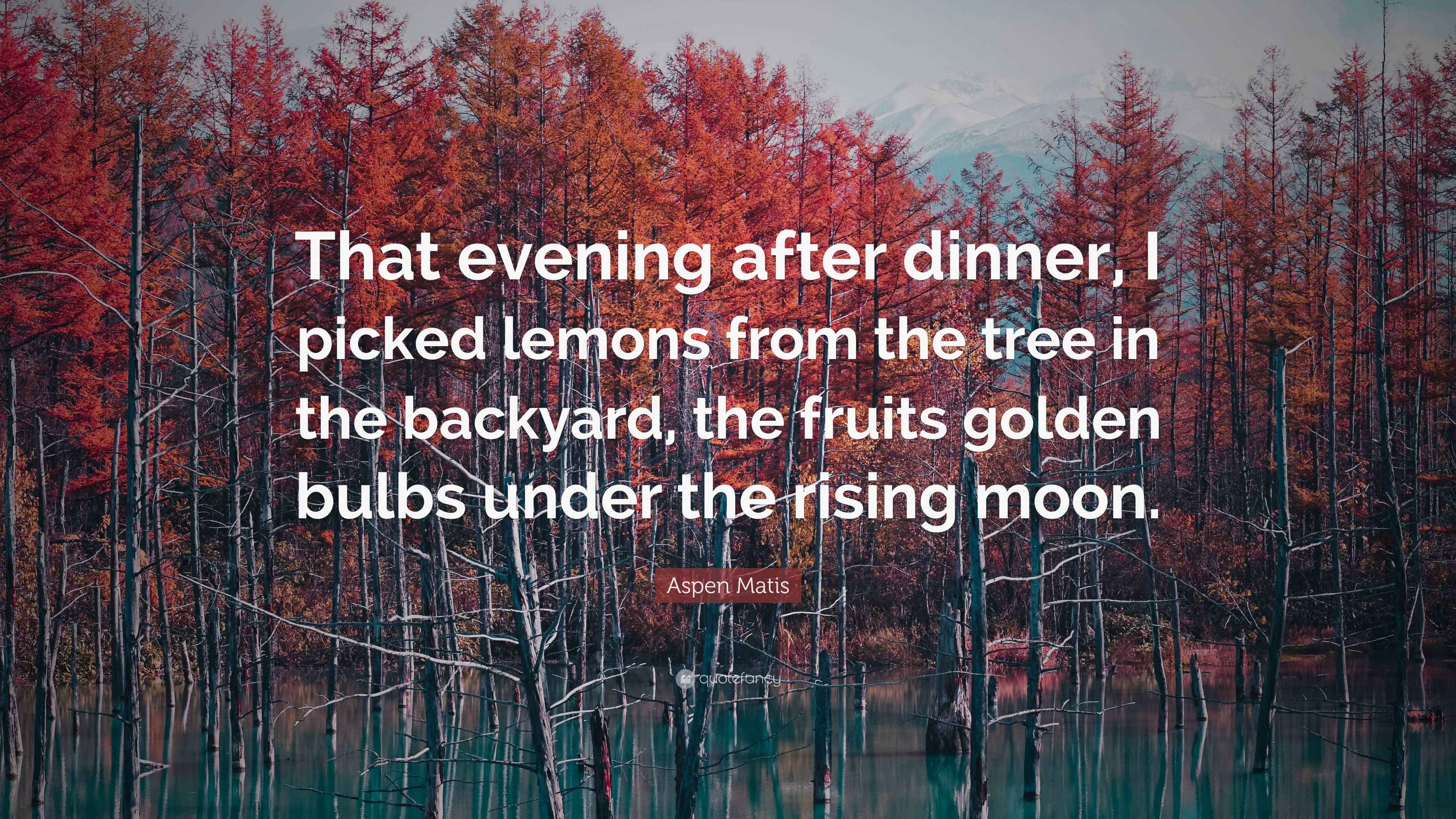 Aspen Matis Quote: “That evening after dinner, I picked lemons from the ...