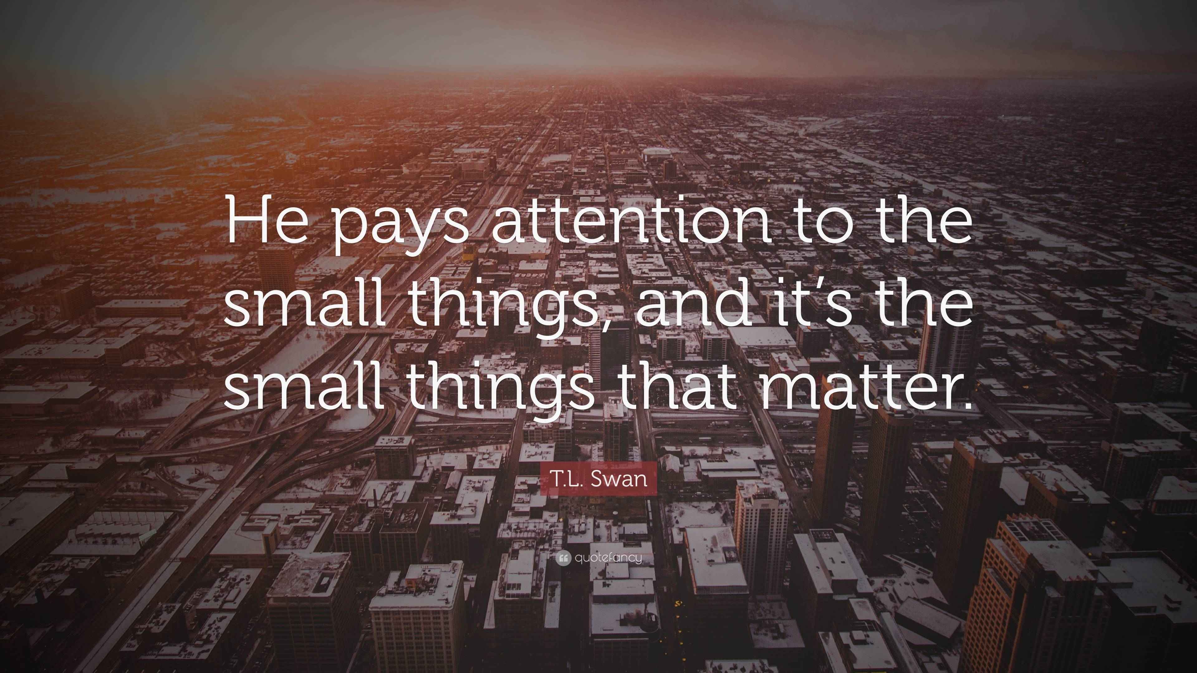 T.L. Swan Quote: “He pays attention to the small things, and it’s the ...
