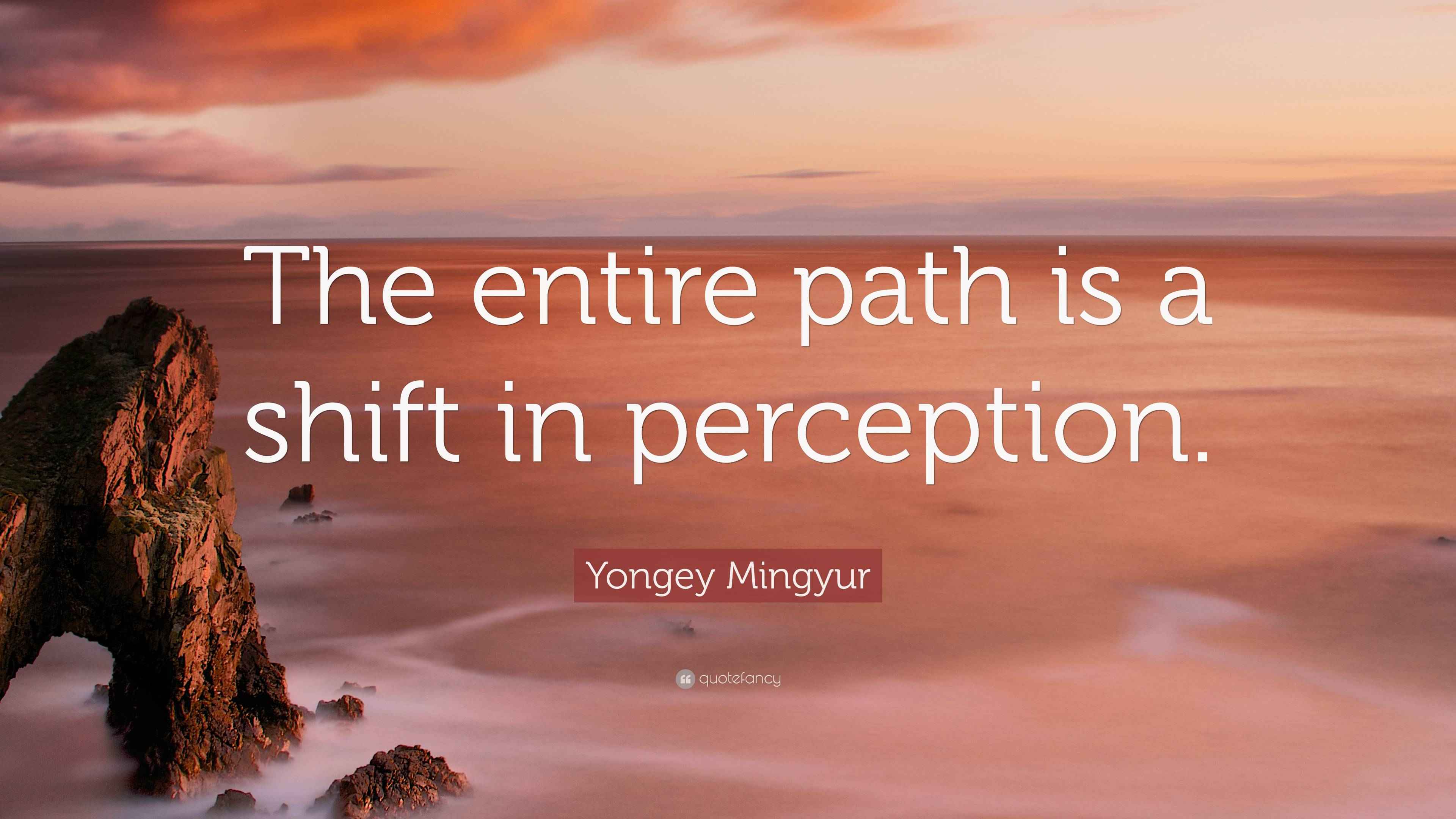 Yongey Mingyur Quote: “The entire path is a shift in perception.”