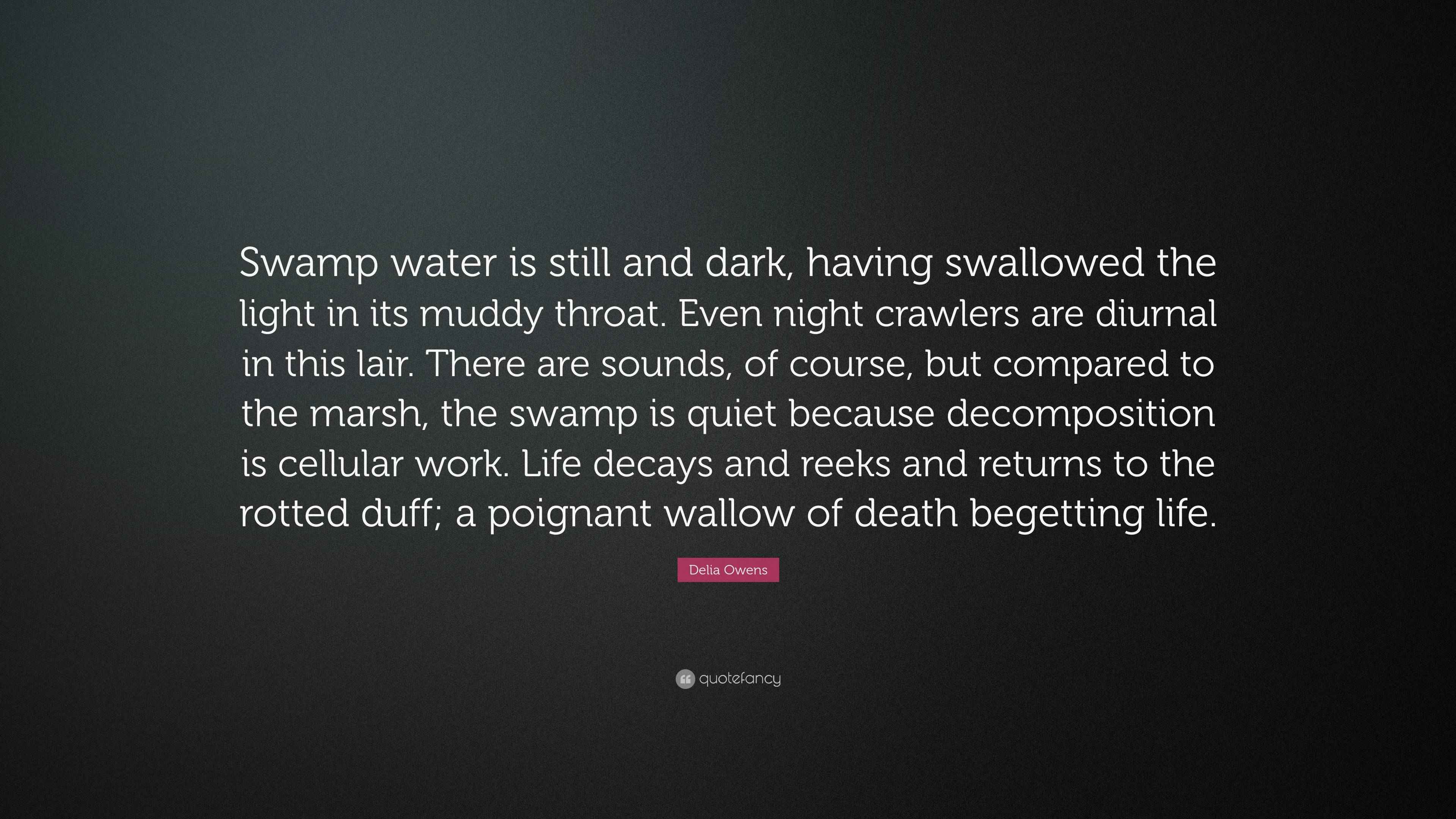 Delia Owens Quote: “Swamp water is still and dark, having swallowed the ...