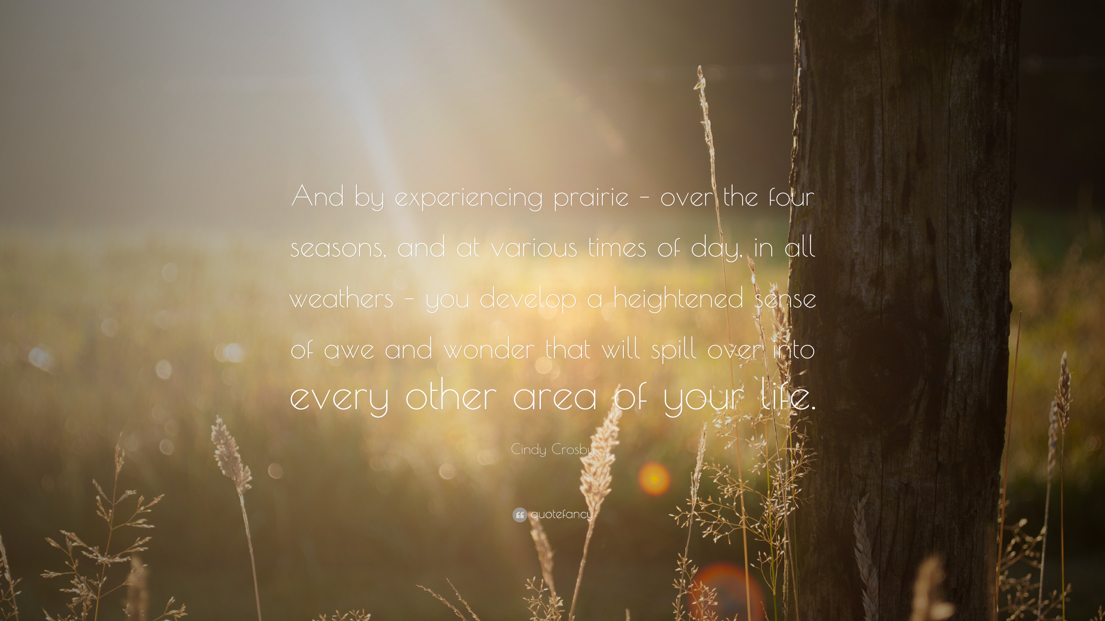Cindy Crosby Quote: “And by experiencing prairie – over the four ...