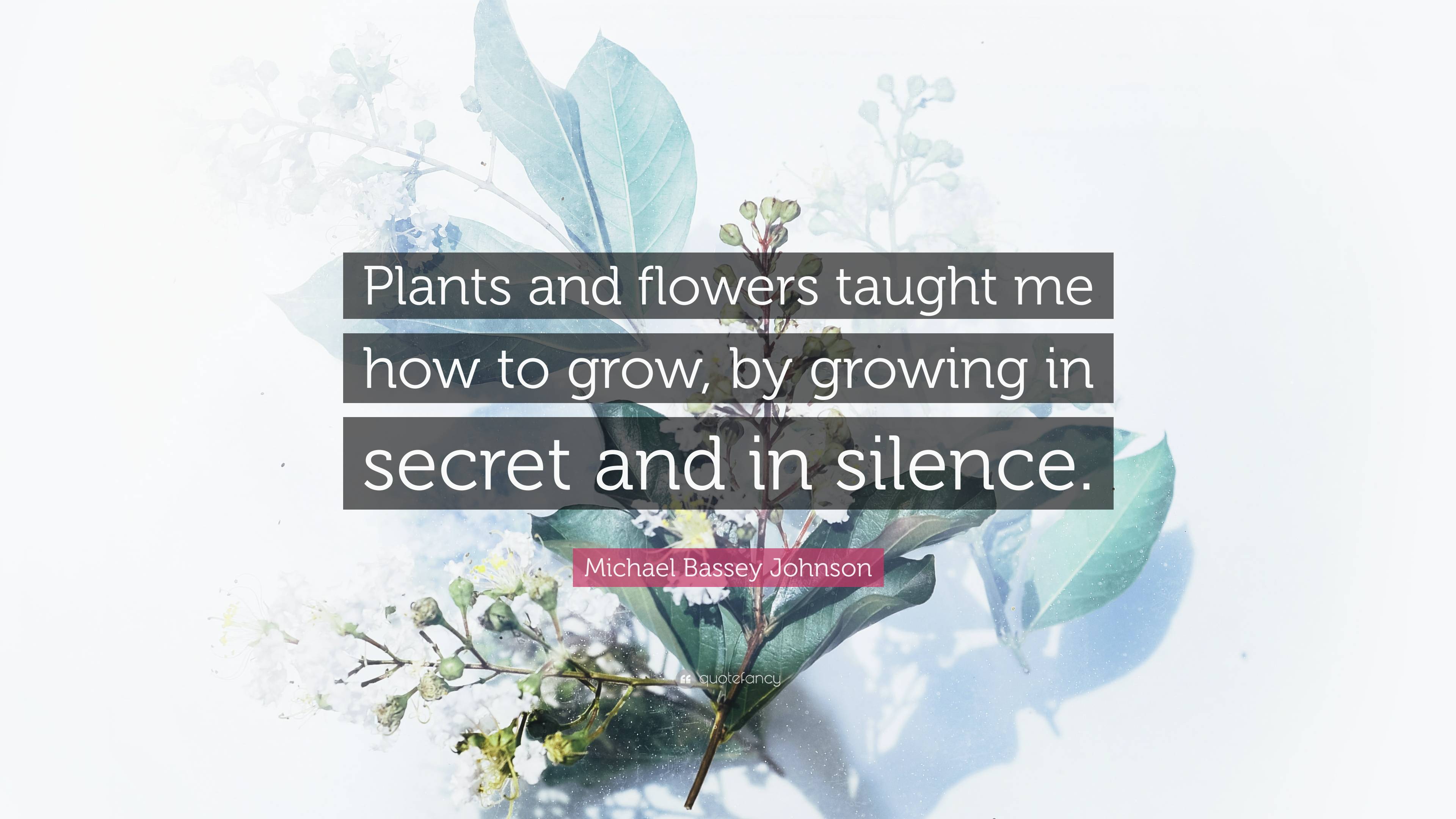 Michael Bassey Johnson Quote: “Plants and flowers taught me how to grow ...