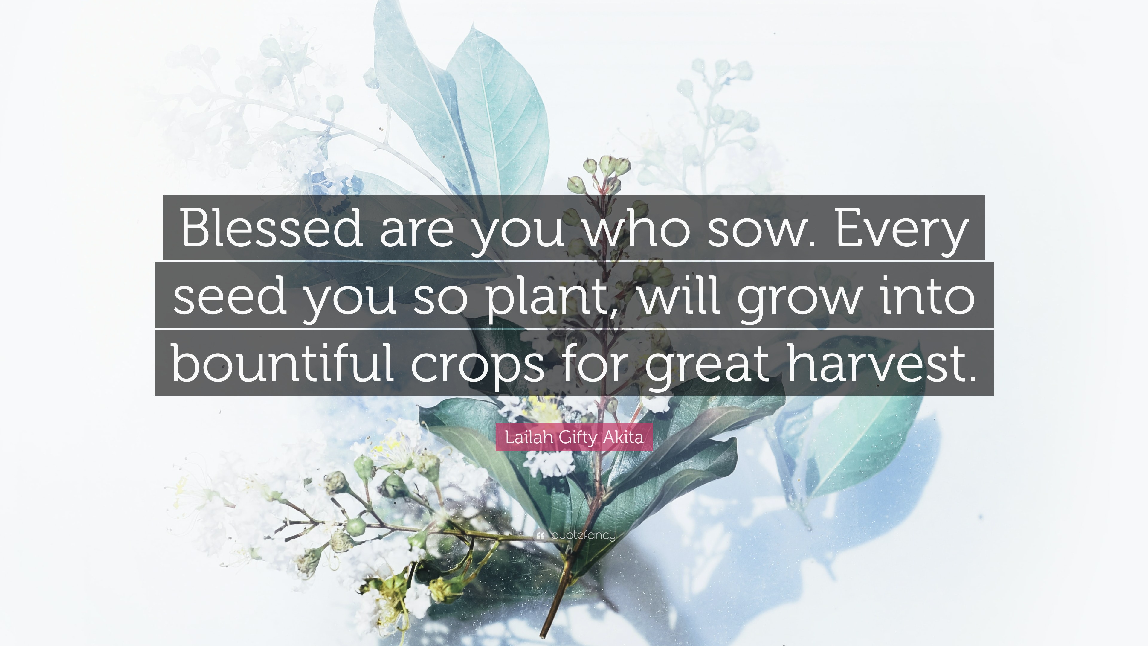 Lailah Gifty Akita Quote: “Blessed are you who sow. Every seed you so ...