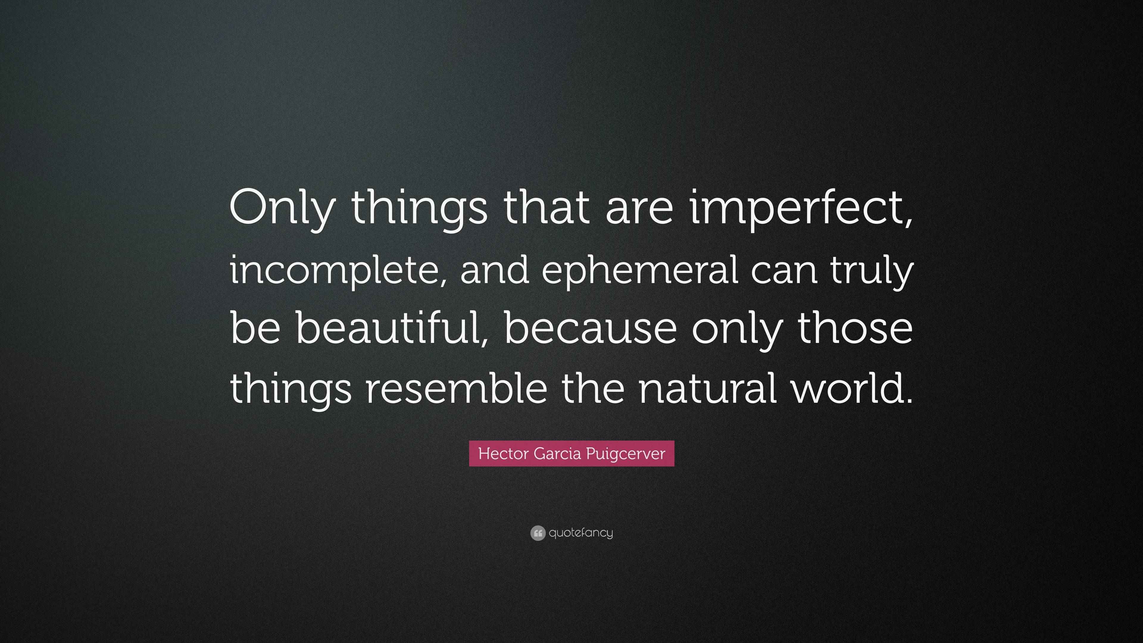 Hector Garcia Puigcerver Quote: “Only things that are imperfect ...