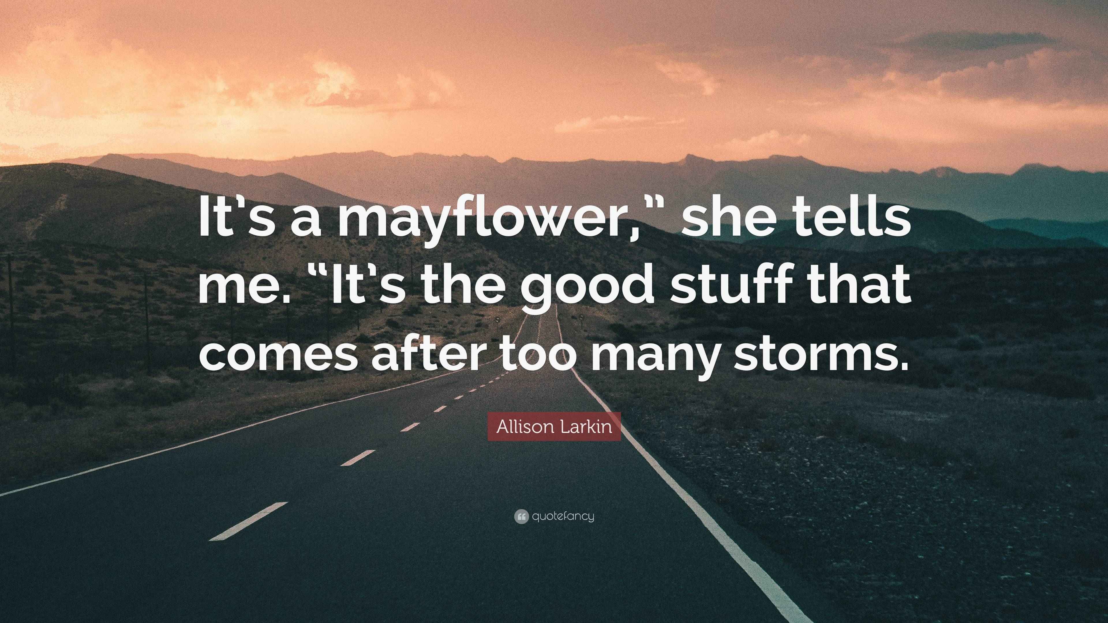 Allison Larkin Quote: “It’s a mayflower,” she tells me. “It’s the good ...