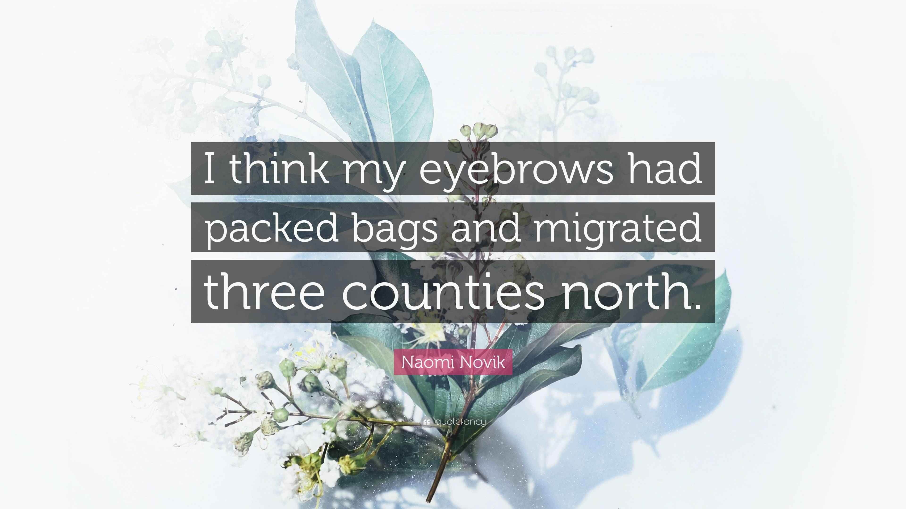 Naomi Novik Quote: “I think my eyebrows had packed bags and migrated ...