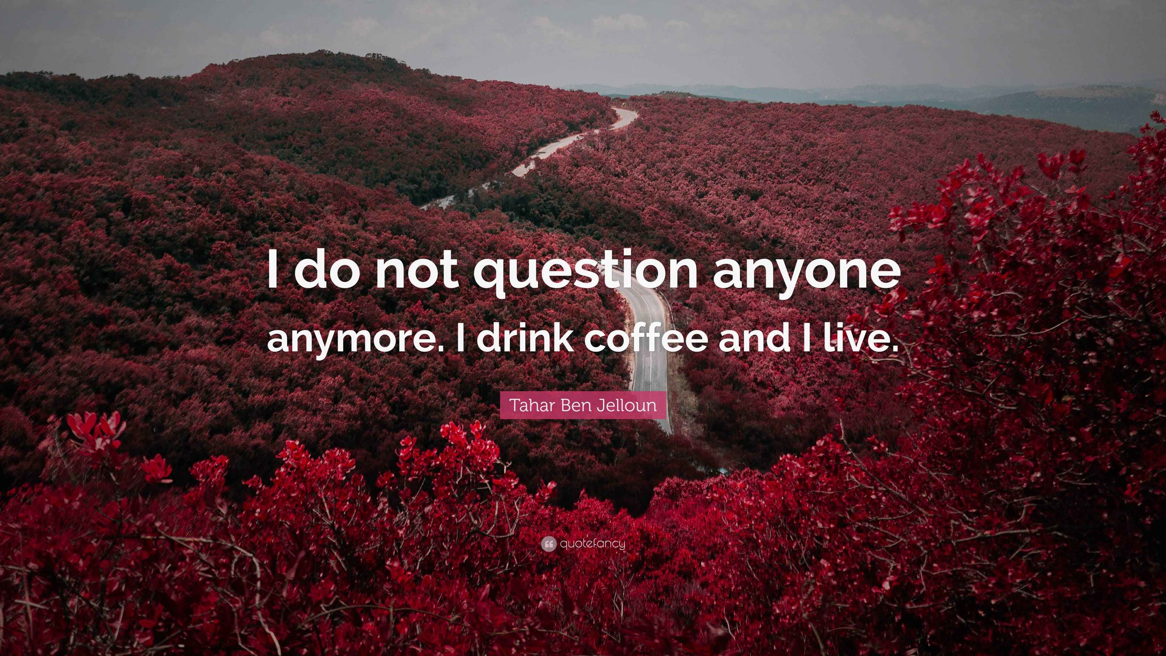 Tahar Ben Jelloun Quote: “I do not question anyone anymore. I drink ...