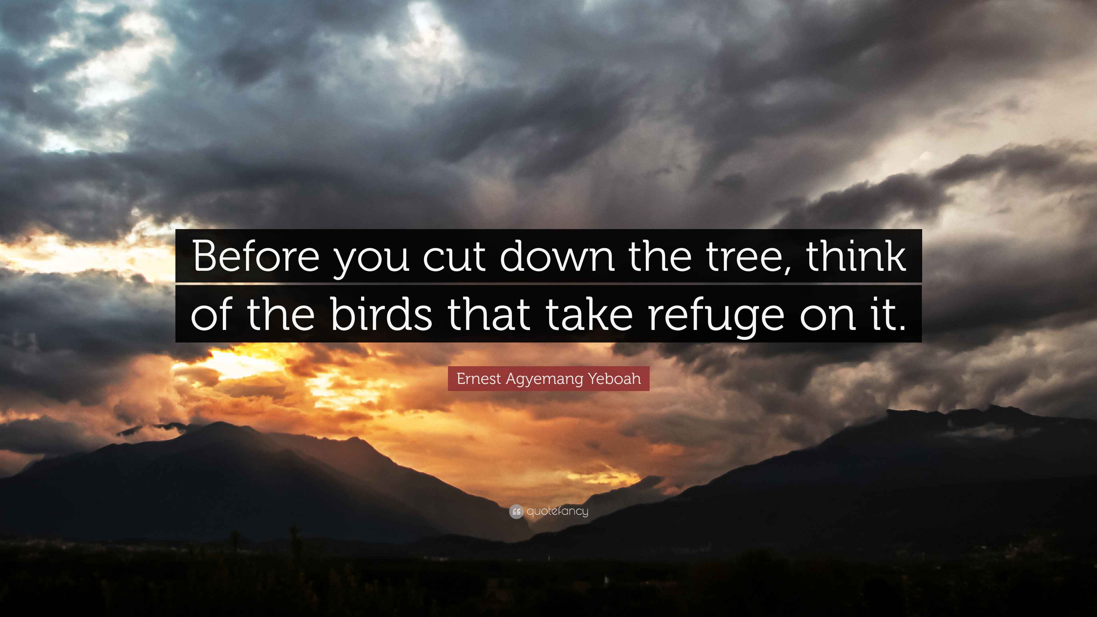 Ernest Agyemang Yeboah Quote: “Before you cut down the tree, think of ...