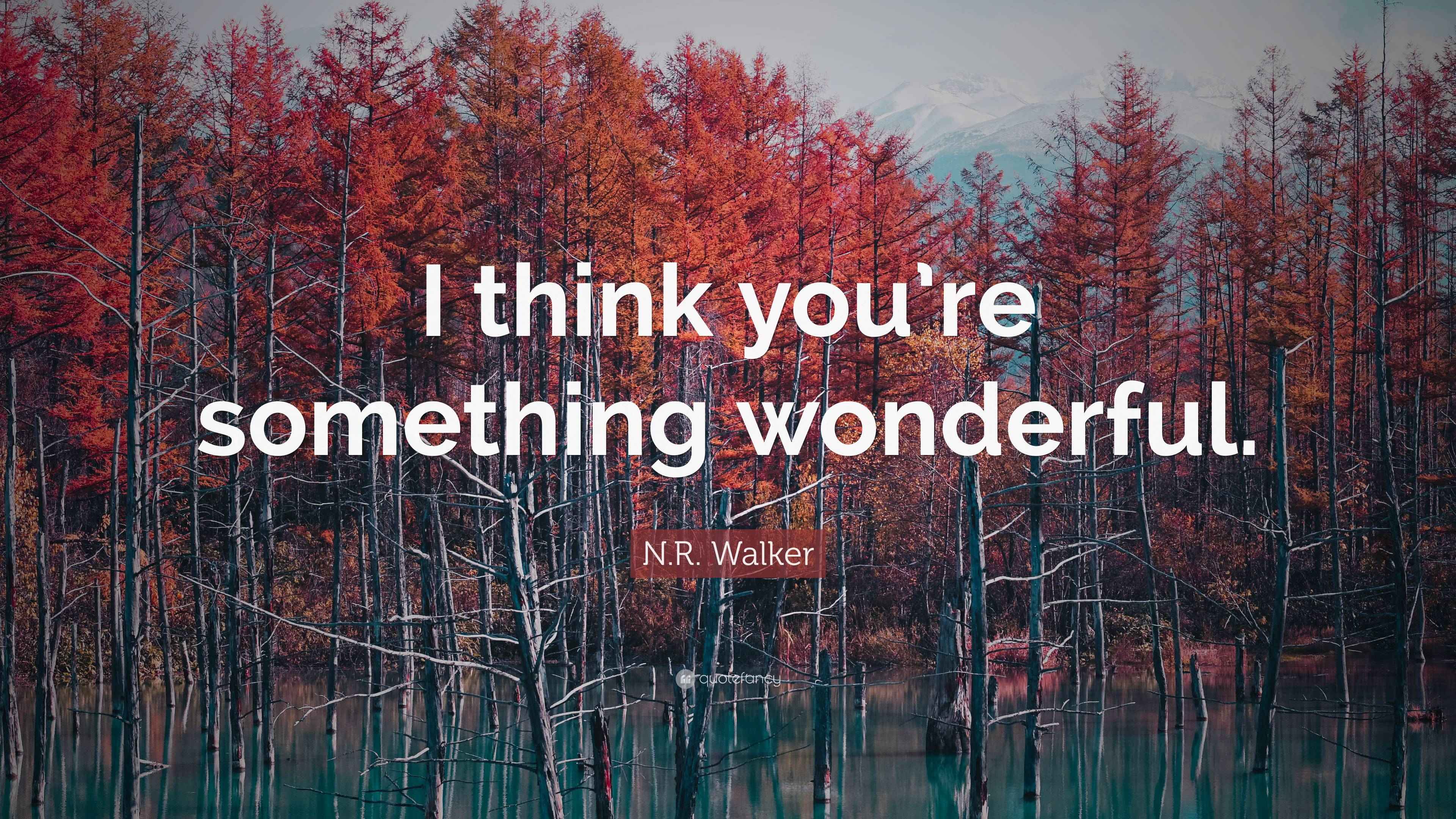 N.R. Walker Quote: “I think you’re something wonderful.”