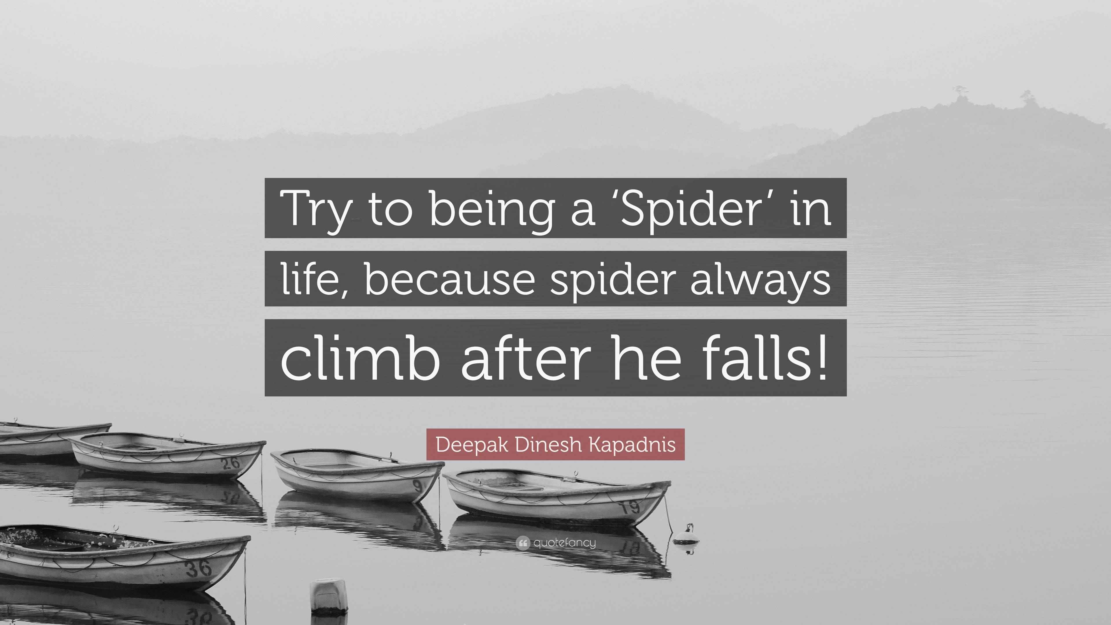 Deepak Dinesh Kapadnis Quote: “Try to being a ‘Spider’ in life, because ...