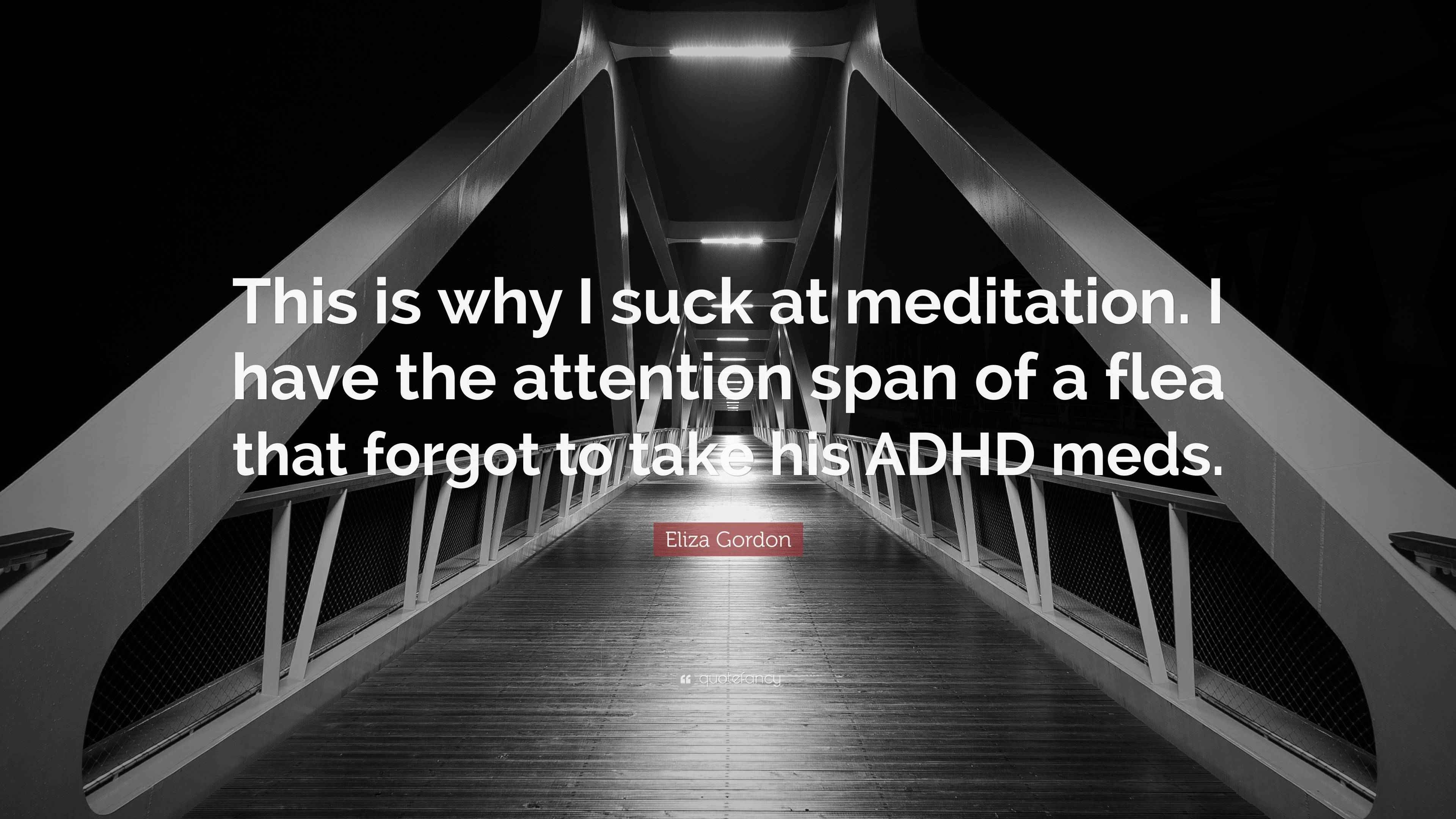 Eliza Gordon Quote: “This is why I suck at meditation. I have the ...