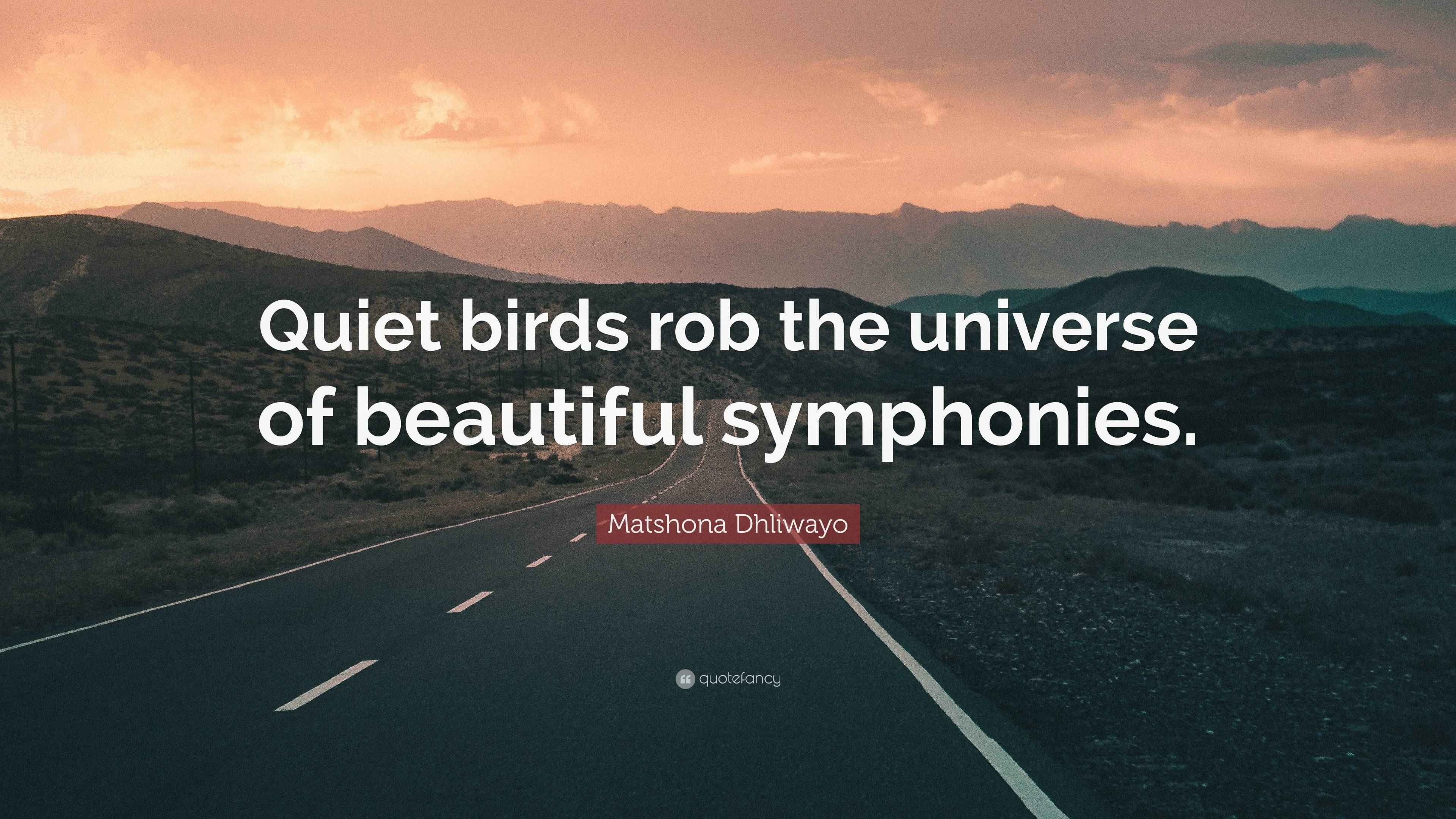 Matshona Dhliwayo Quote: “Quiet birds rob the universe of beautiful ...