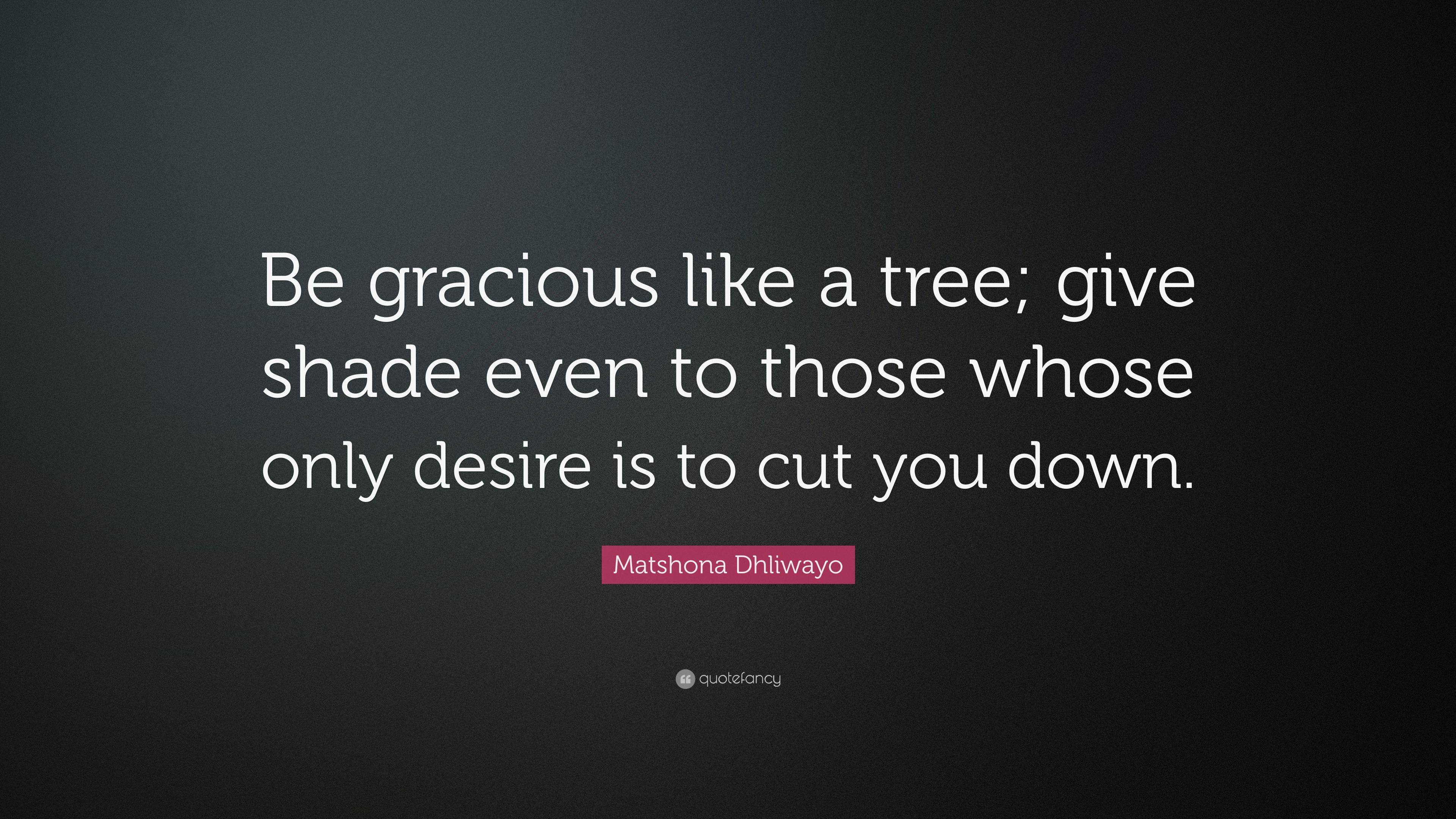 Matshona Dhliwayo Quote: “Be gracious like a tree; give shade even to those whose only desire is ...