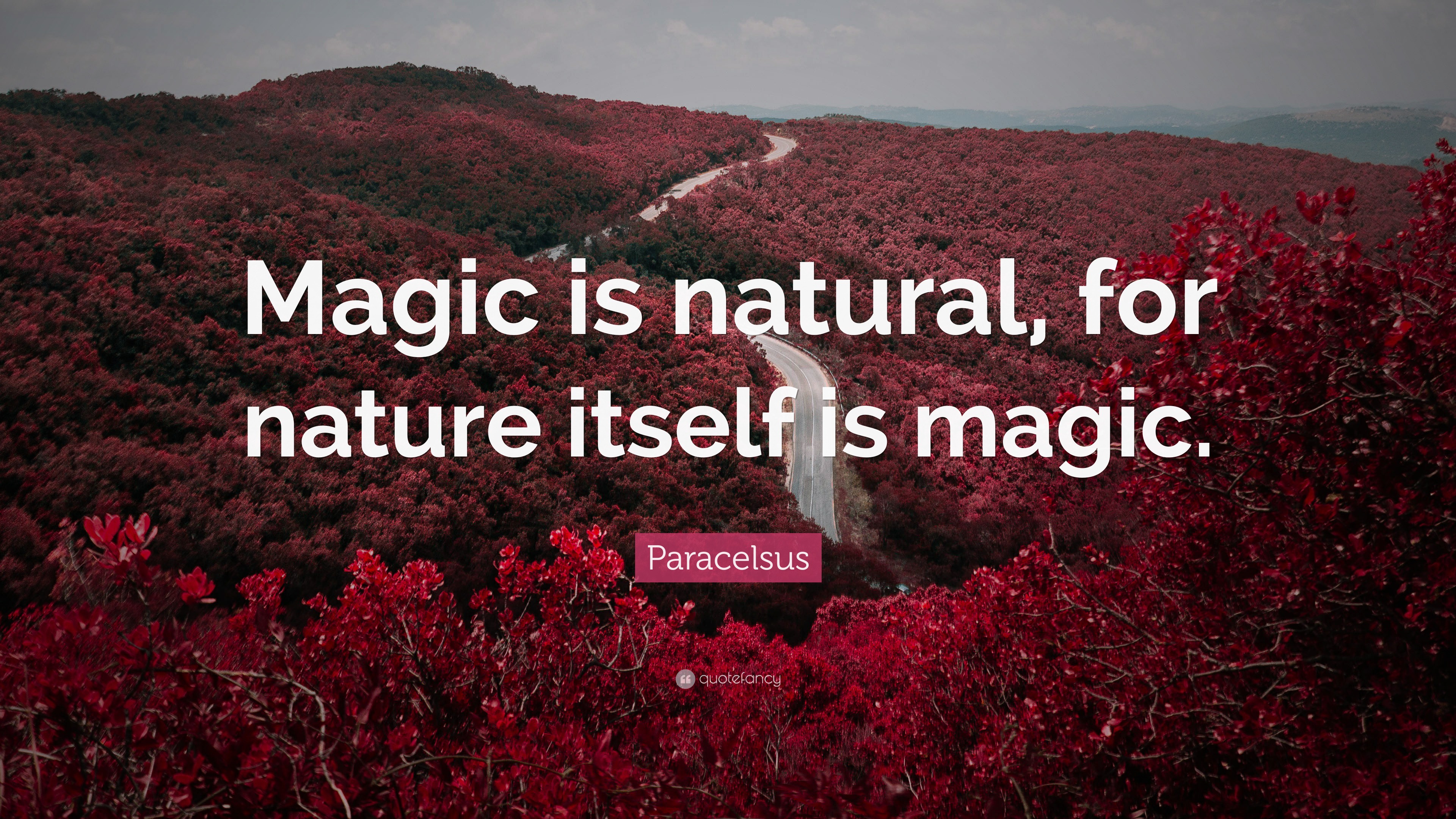 Paracelsus Quote: “Magic is natural, for nature itself is magic.”