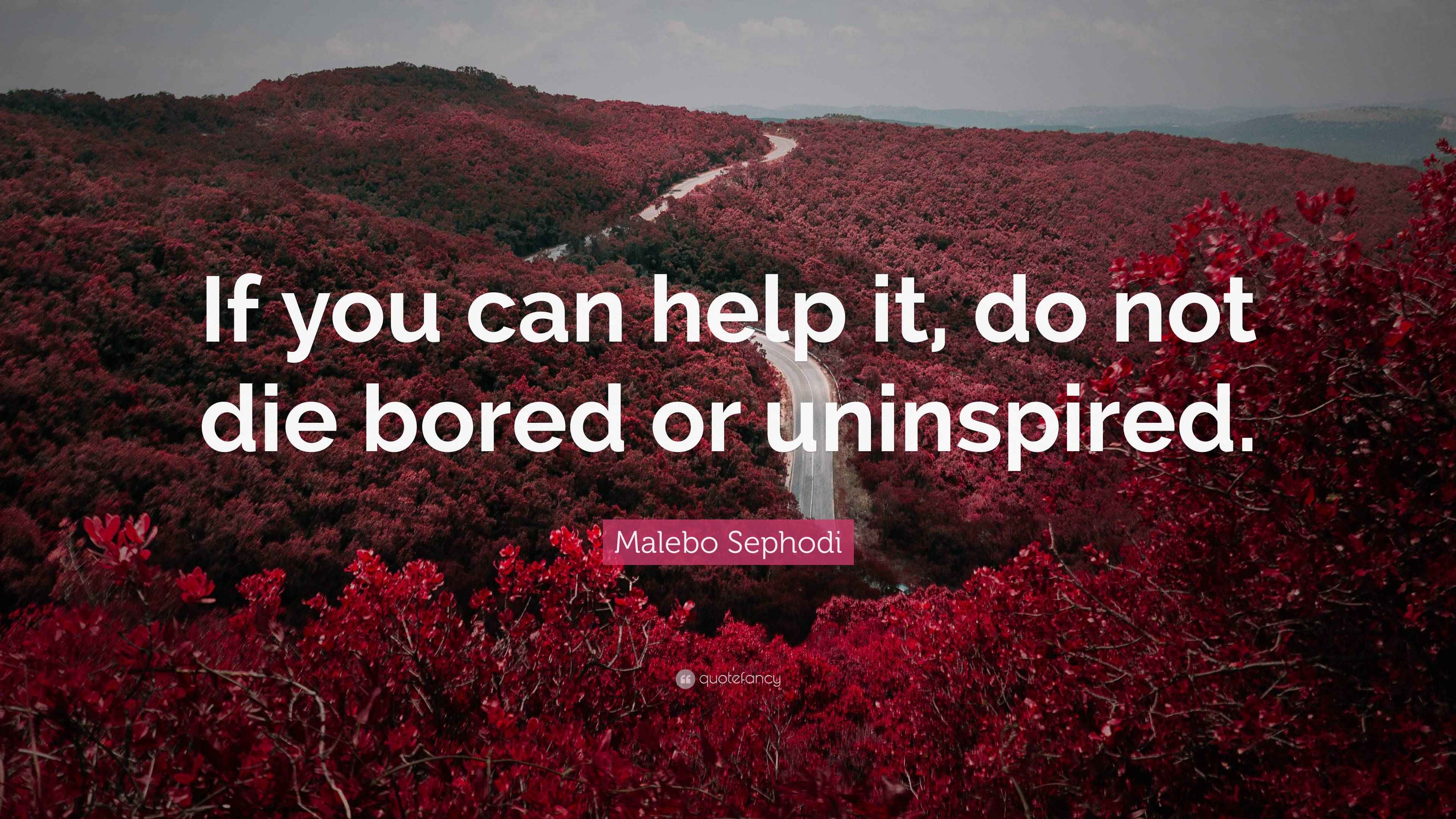 Malebo Sephodi Quote: “If you can help it, do not die bored or uninspired.”