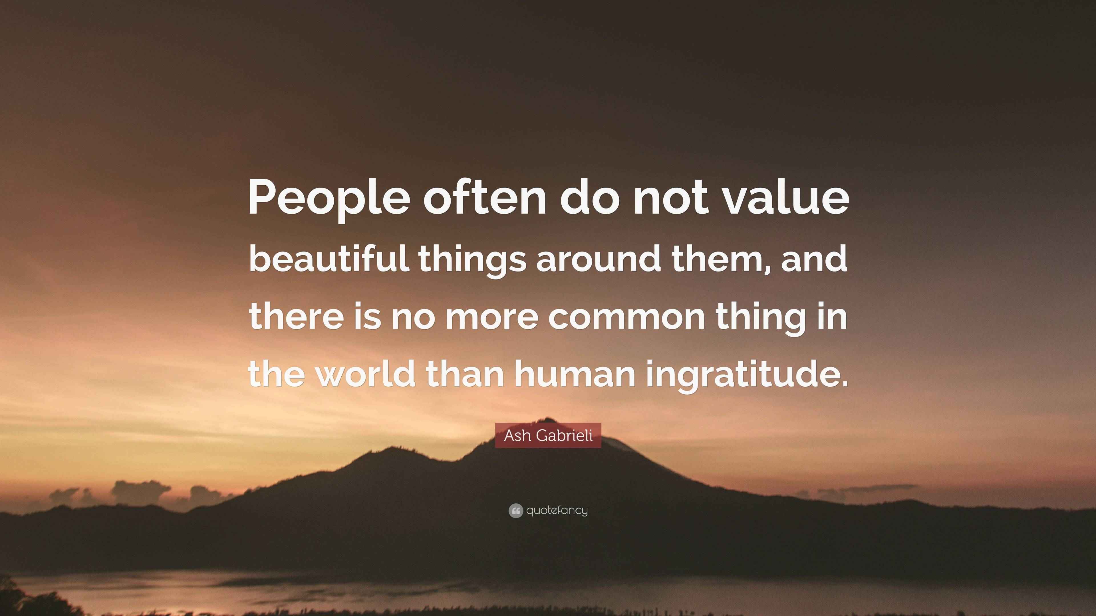 Ash Gabrieli Quote: “People often do not value beautiful things around ...