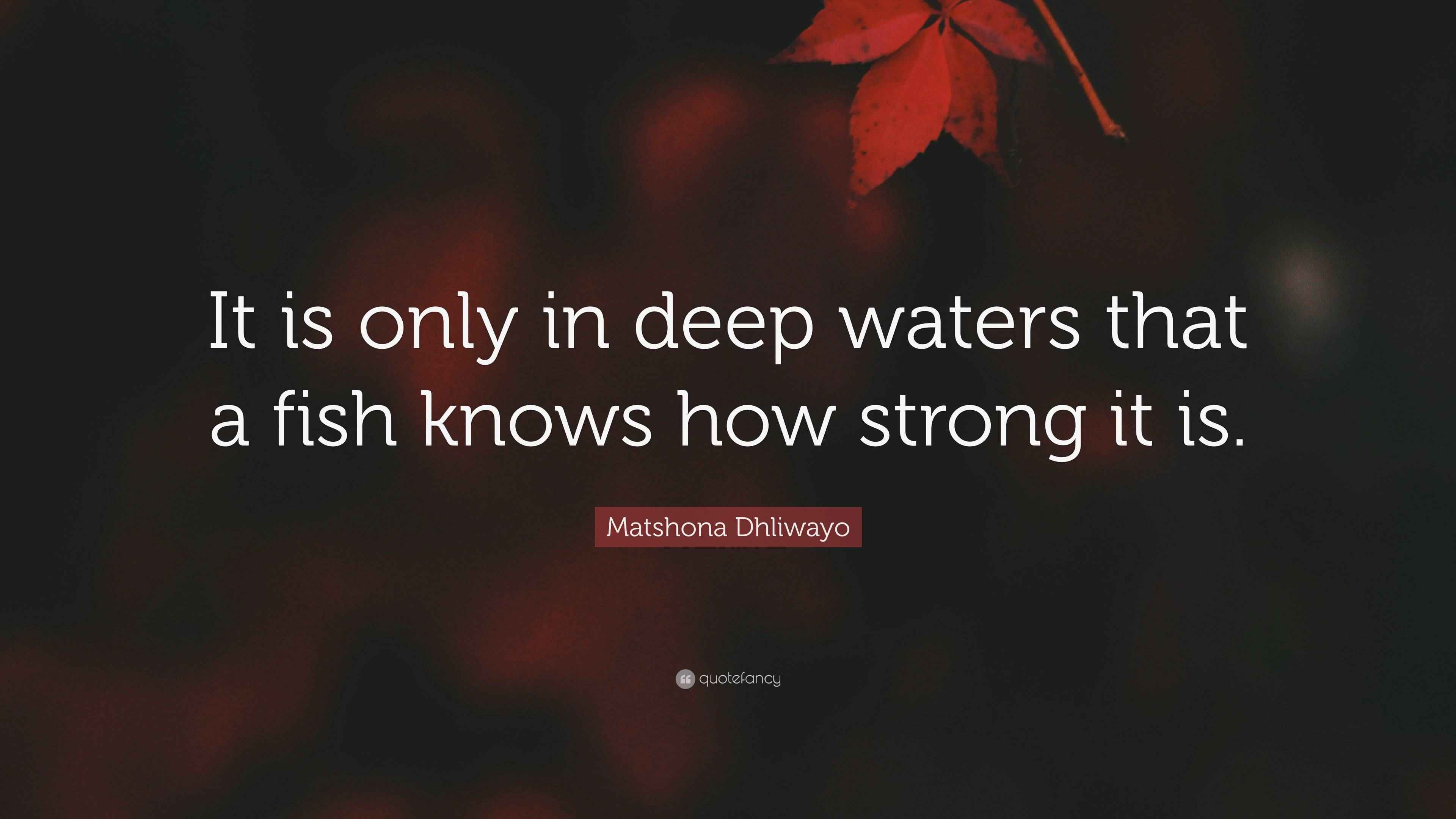 Matshona Dhliwayo Quote: “It is only in deep waters that a fish knows ...