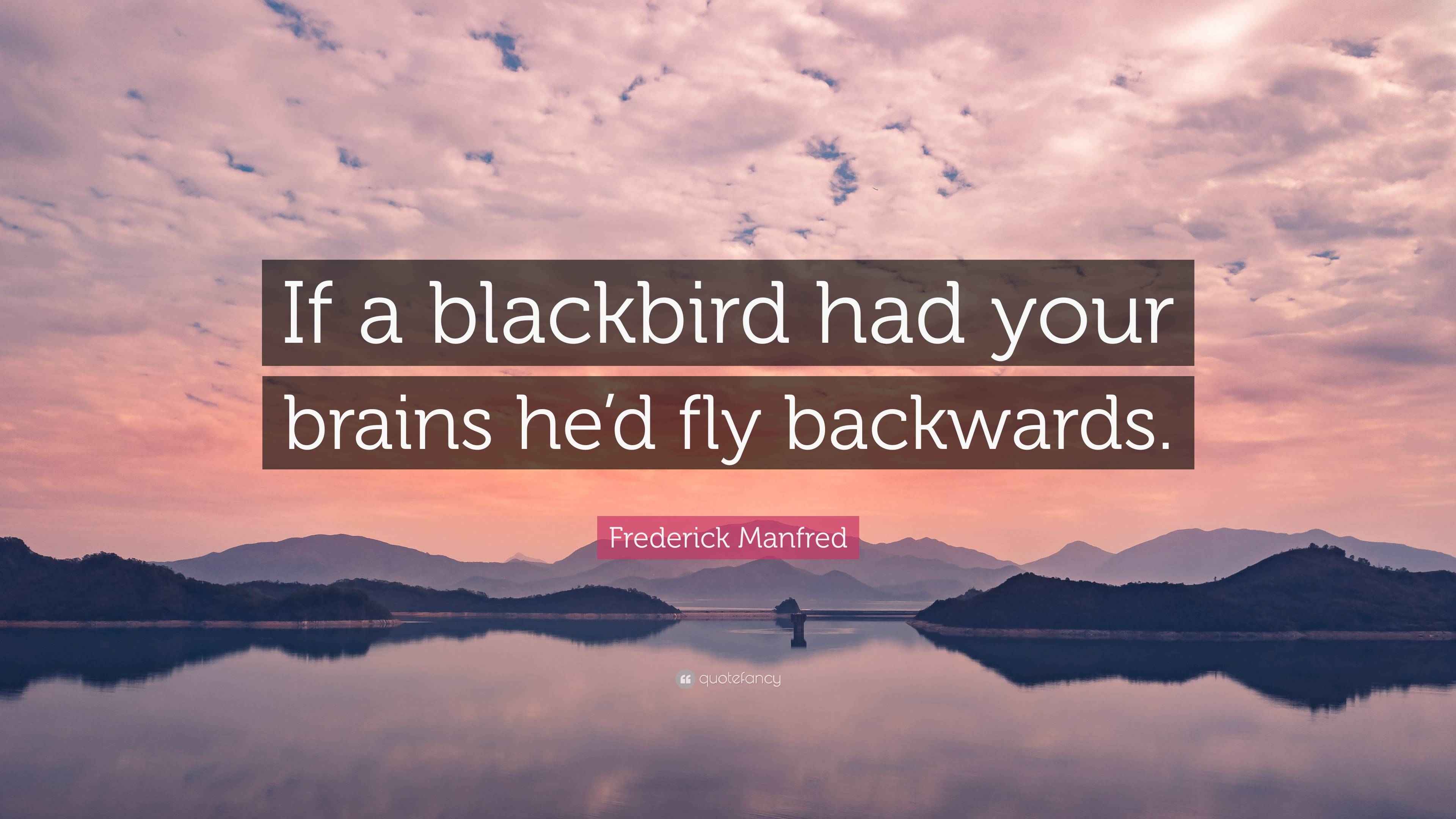 Frederick Manfred Quote: “If a blackbird had your brains he’d fly ...