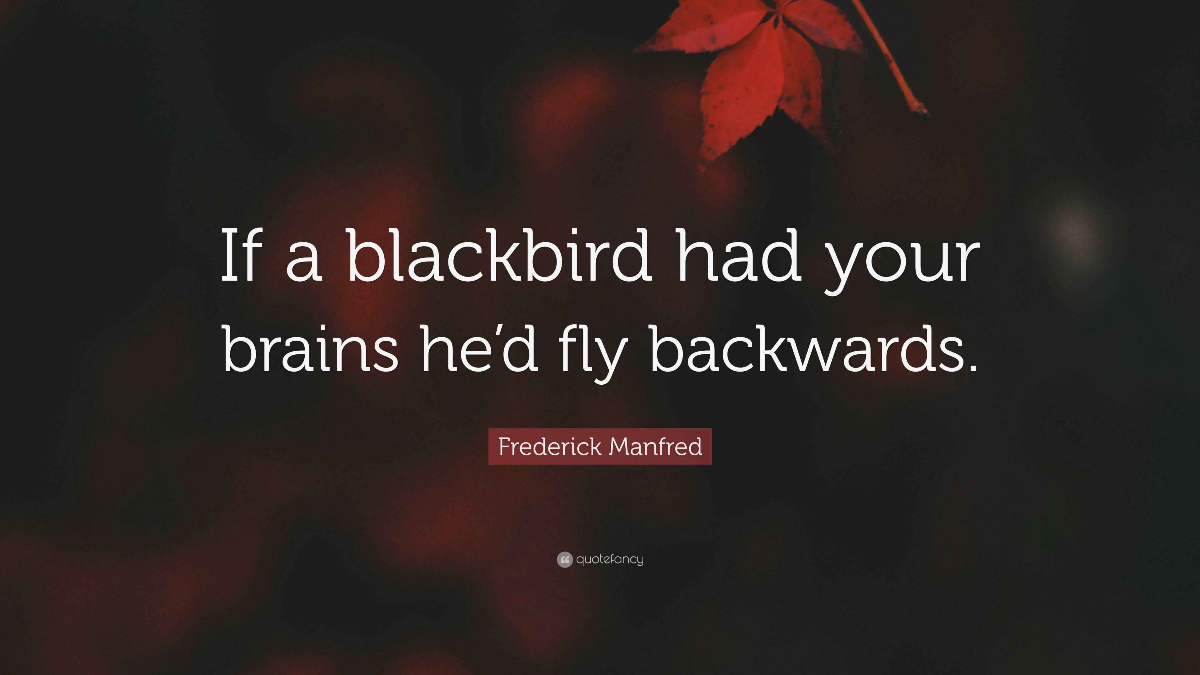 Frederick Manfred Quote: “If a blackbird had your brains he’d fly ...