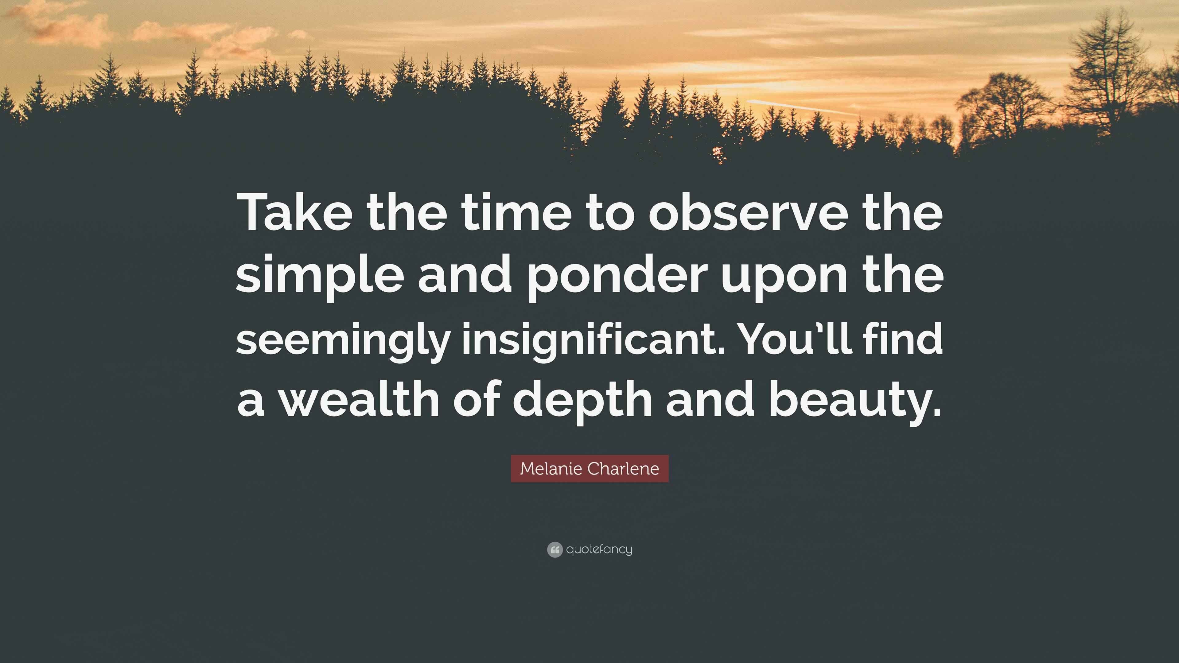 Melanie Charlene Quote: “Take the time to observe the simple and ponder ...