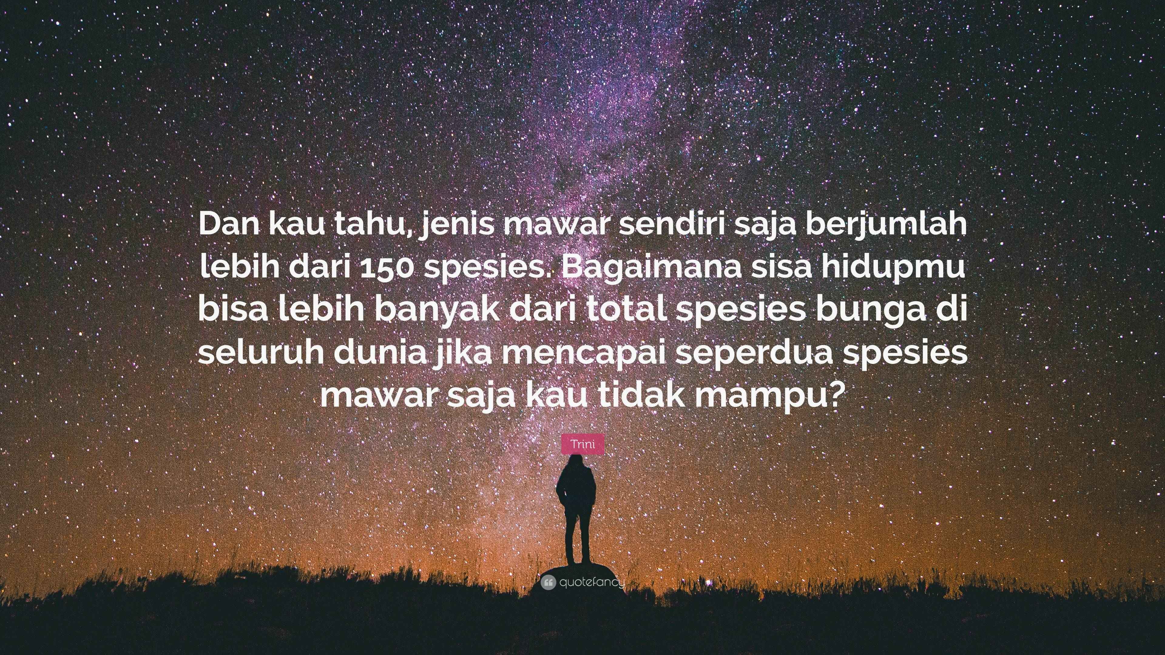 Trini Quote: “Dan kau tahu, jenis mawar sendiri saja berjumlah lebih ...