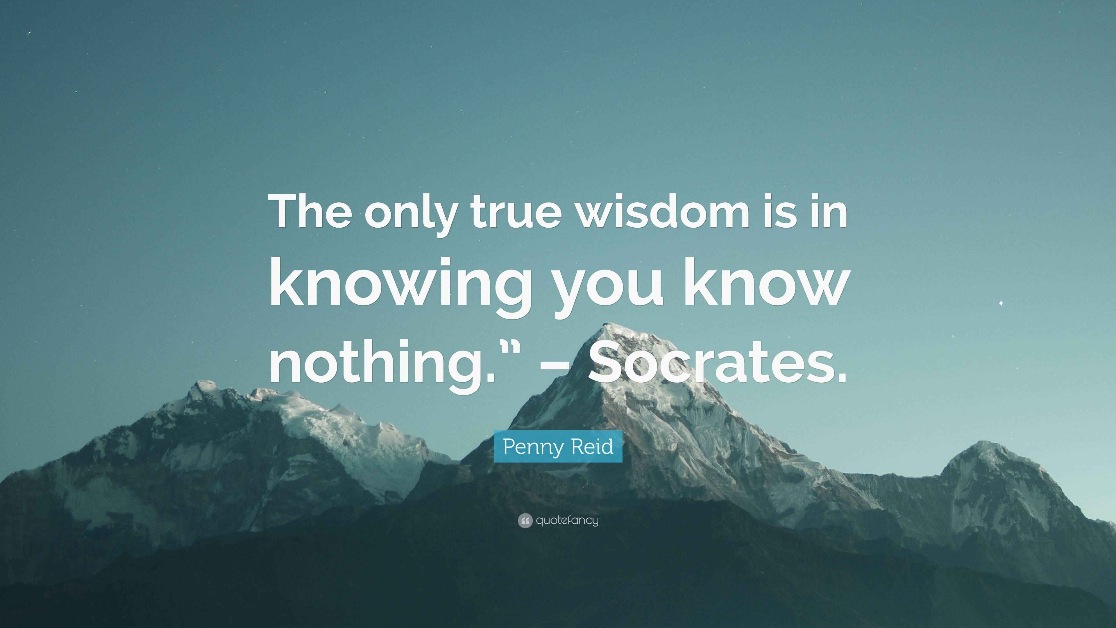 Penny Reid Quote: “The only true wisdom is in knowing you know nothing ...