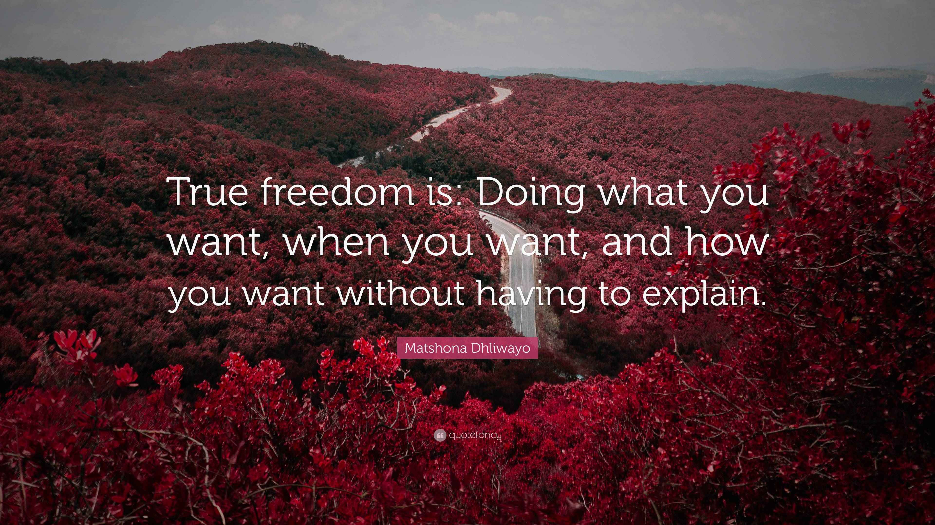 Matshona Dhliwayo Quote: “True freedom is: Doing what you want, when ...