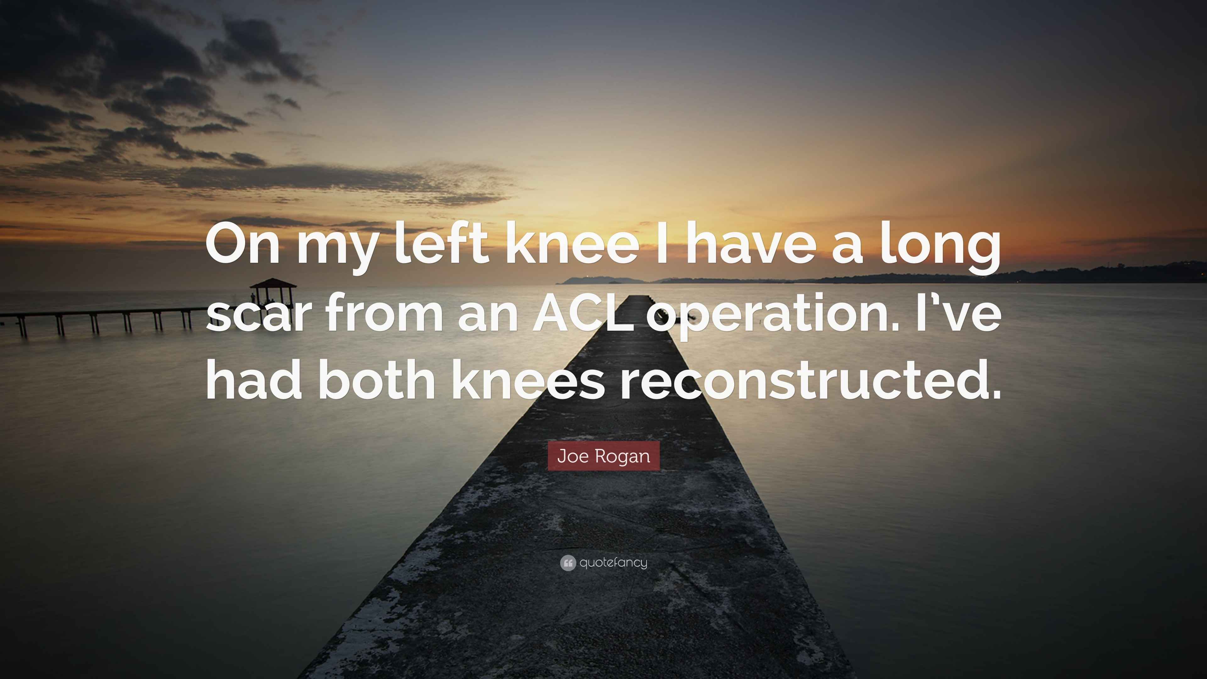 Joe Rogan Quote: “On my left knee I have a long scar from an ACL ...
