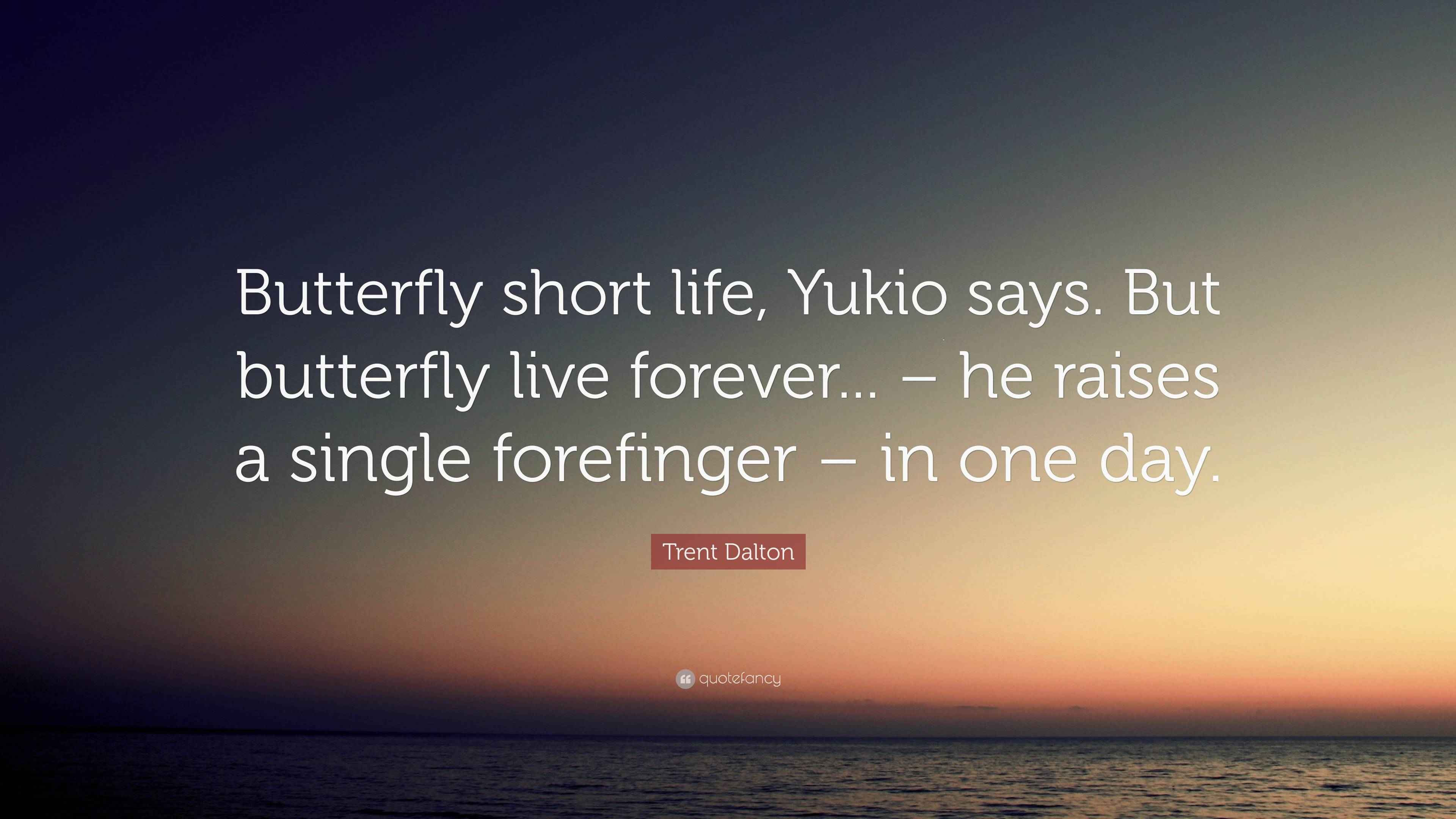 Trent Dalton Quote: “Butterfly short life, Yukio says. But butterfly ...