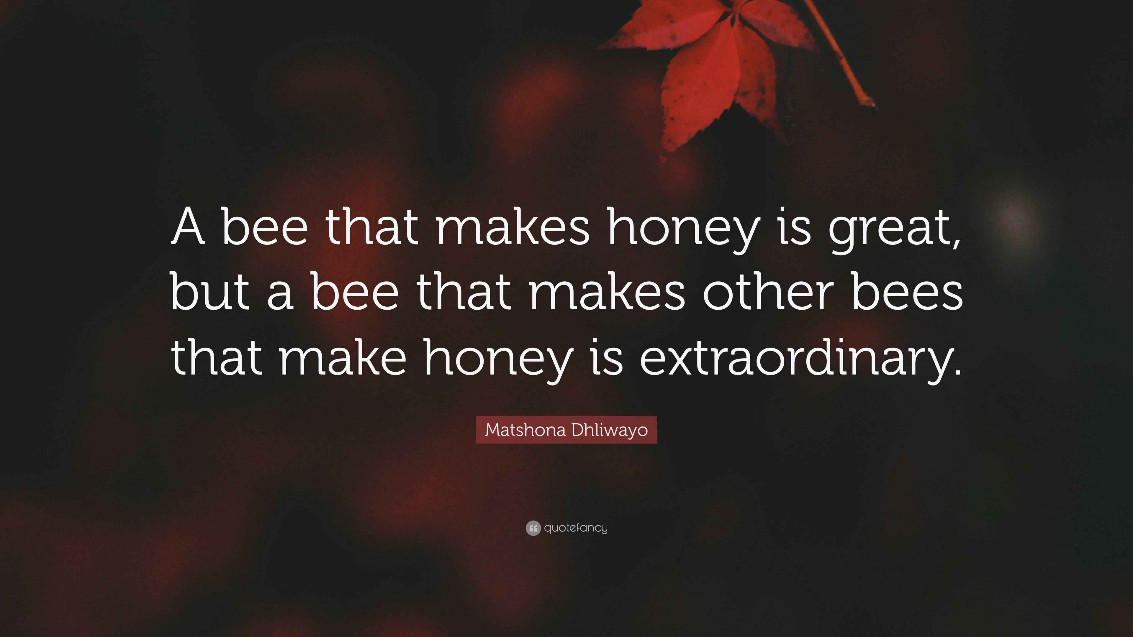 Matshona Dhliwayo Quote: “A bee that makes honey is great, but a bee ...