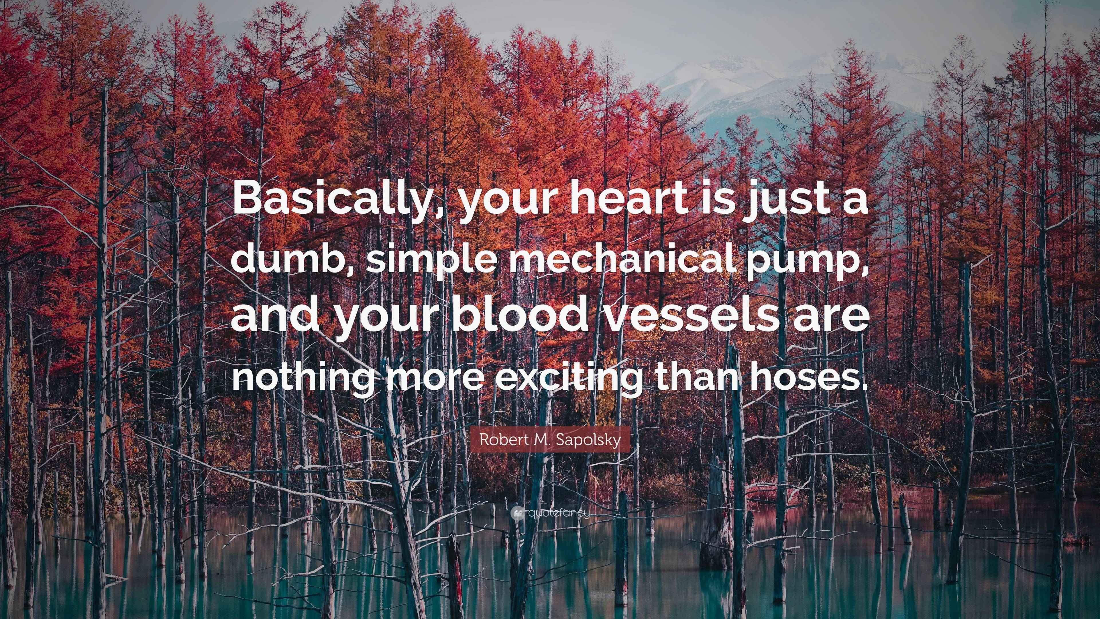 Robert M. Sapolsky Quote: “Basically, your heart is just a dumb, simple ...