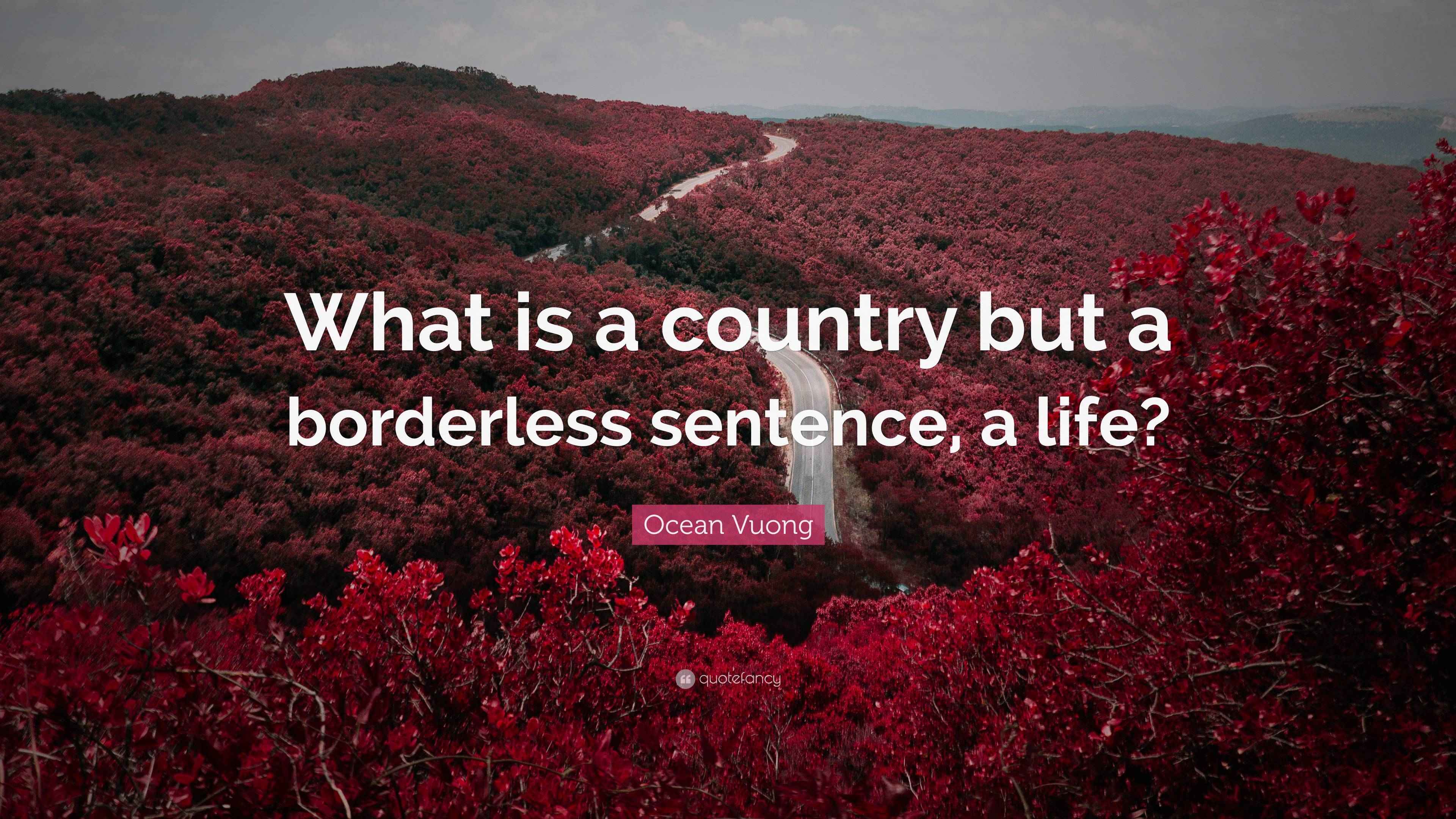Ocean Vuong Quote: “What is a country but a borderless sentence, a life?”