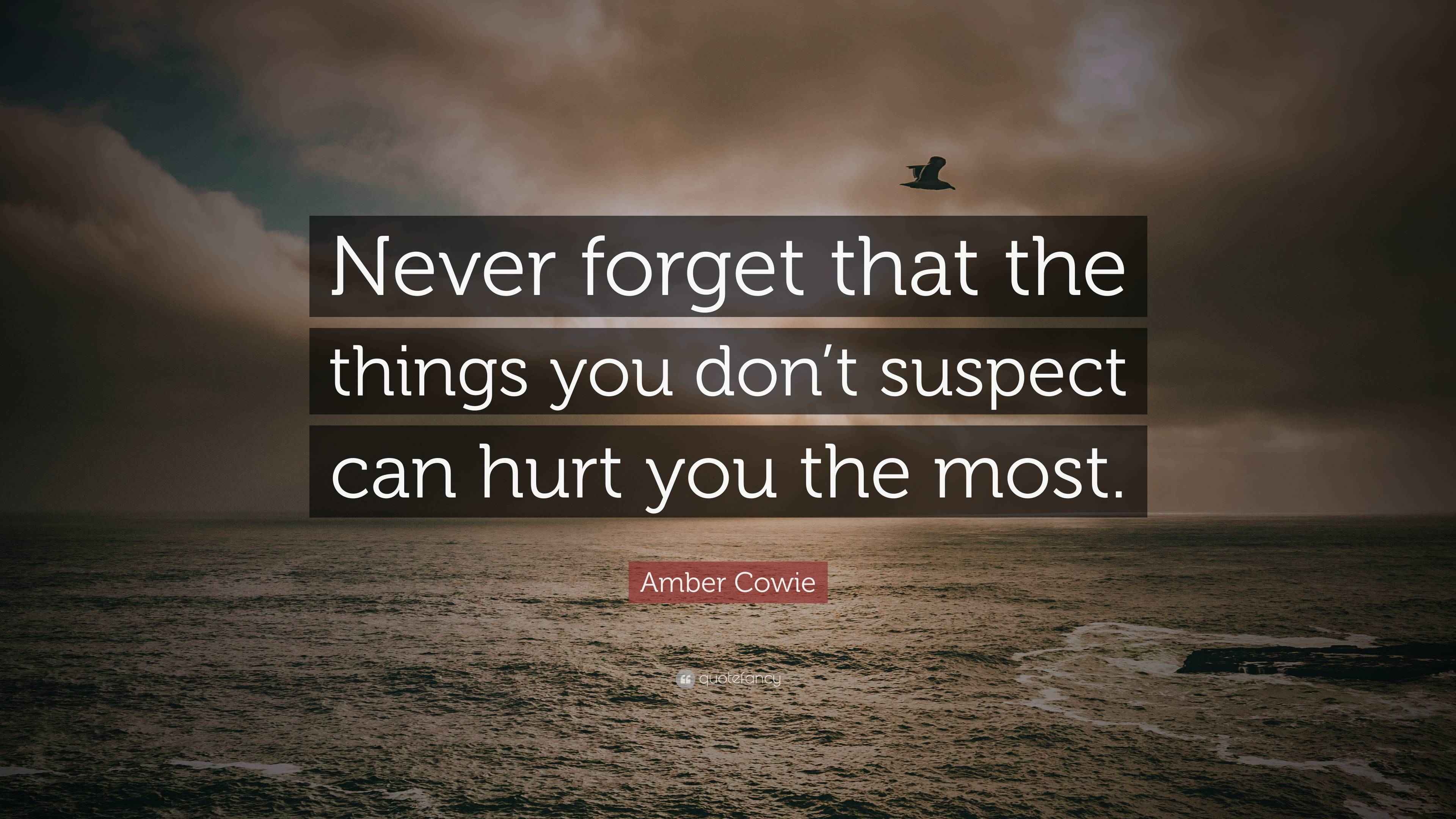 Amber Cowie Quote: “Never forget that the things you don’t suspect can ...