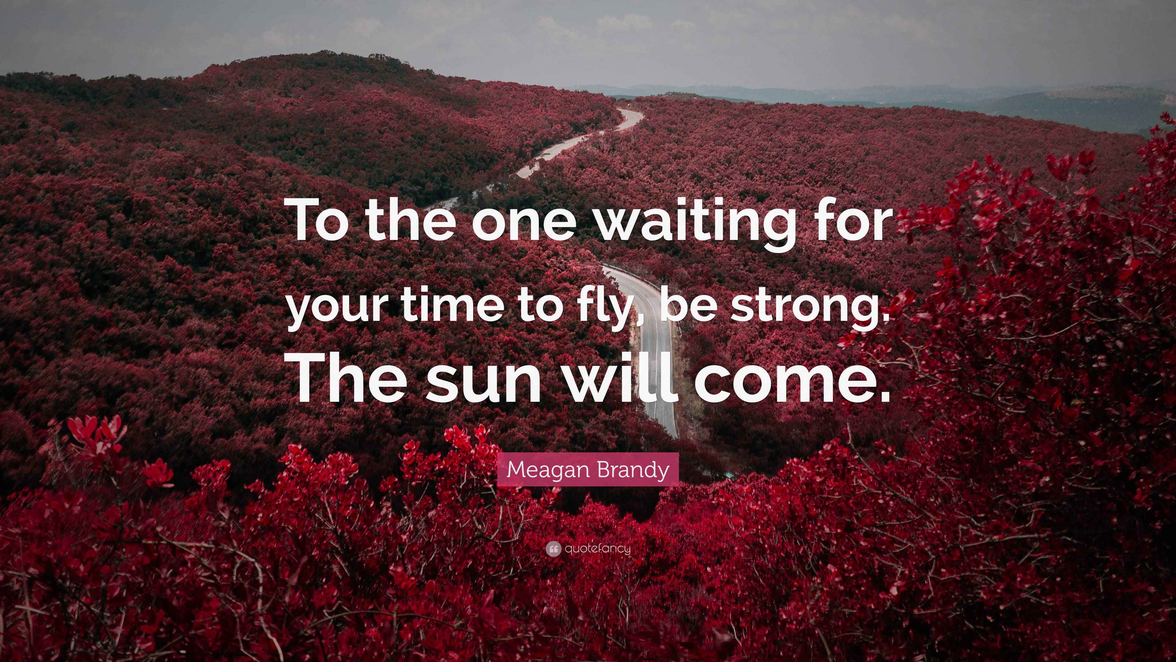 Meagan Brandy Quote: “To the one waiting for your time to fly, be ...