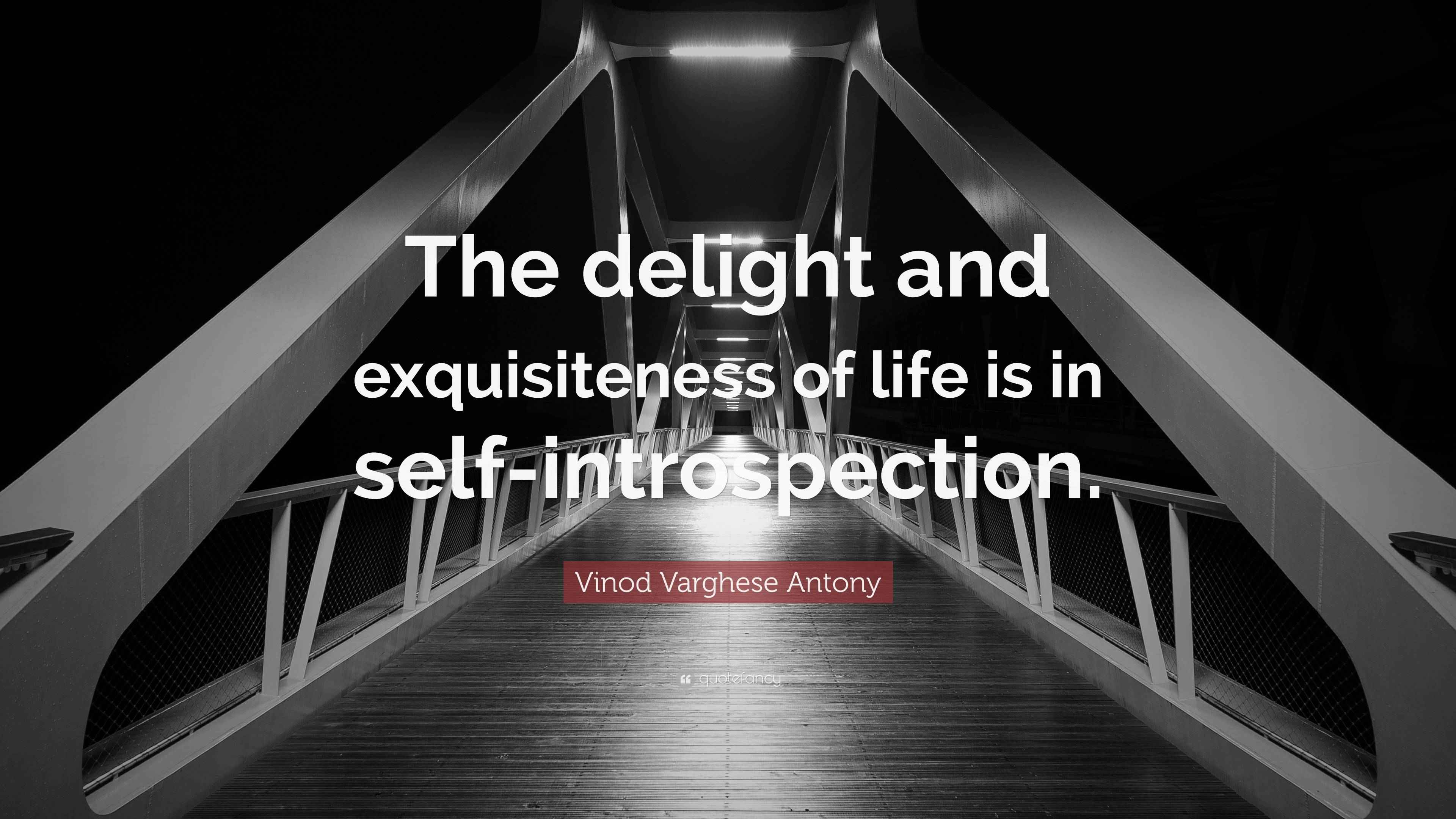 Vinod Varghese Antony Quote: “The delight and exquisiteness of life is ...