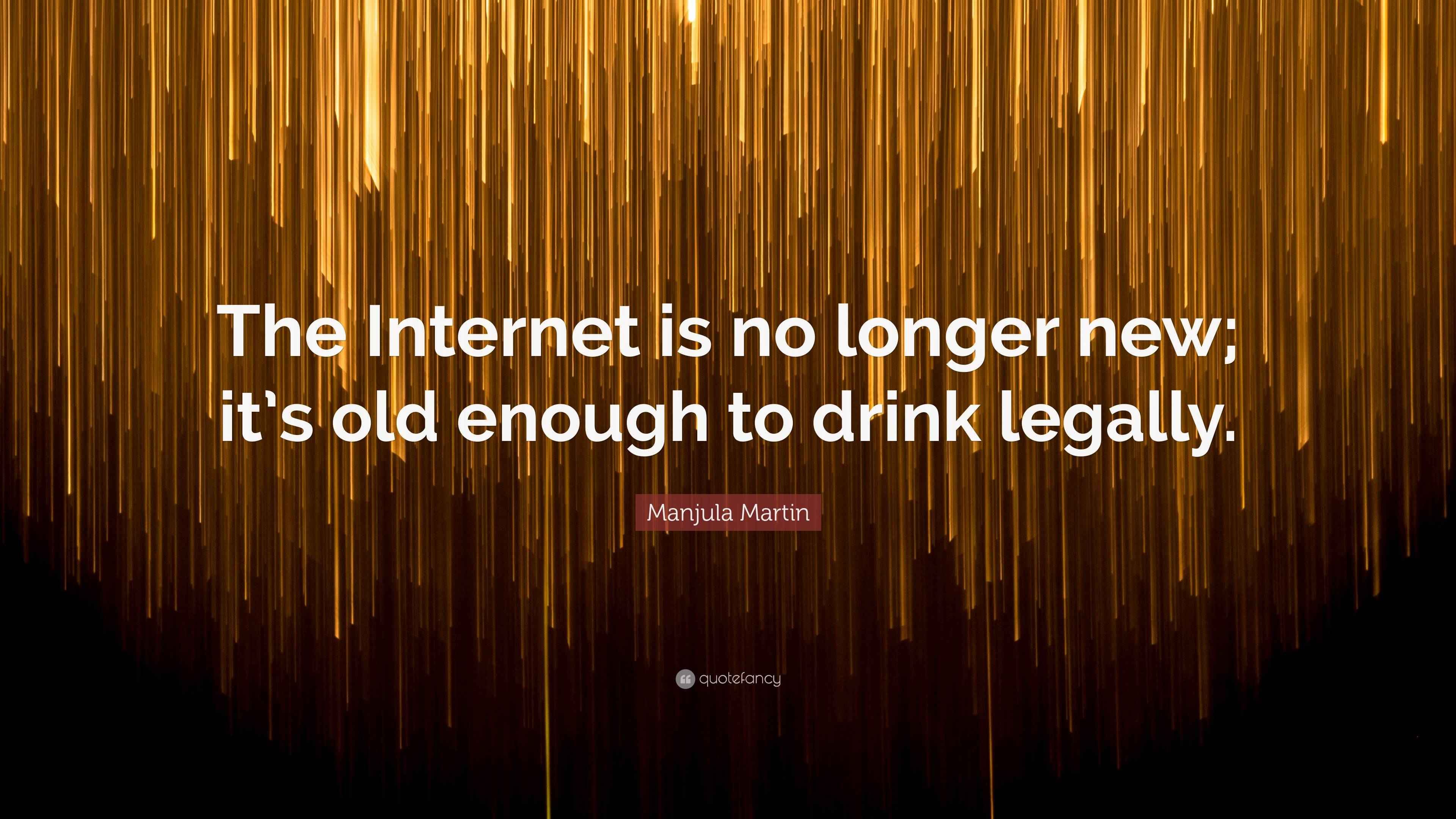 Manjula Martin Quote: “The Internet is no longer new; it’s old enough ...