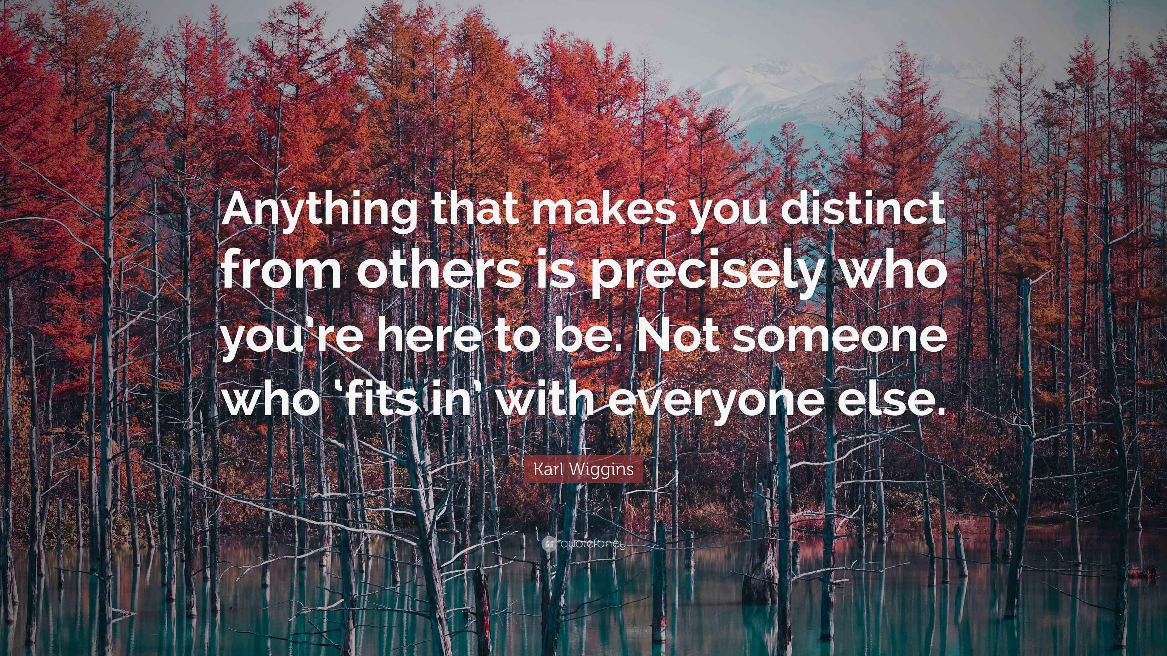 Karl Wiggins Quote: “Anything that makes you distinct from others is ...