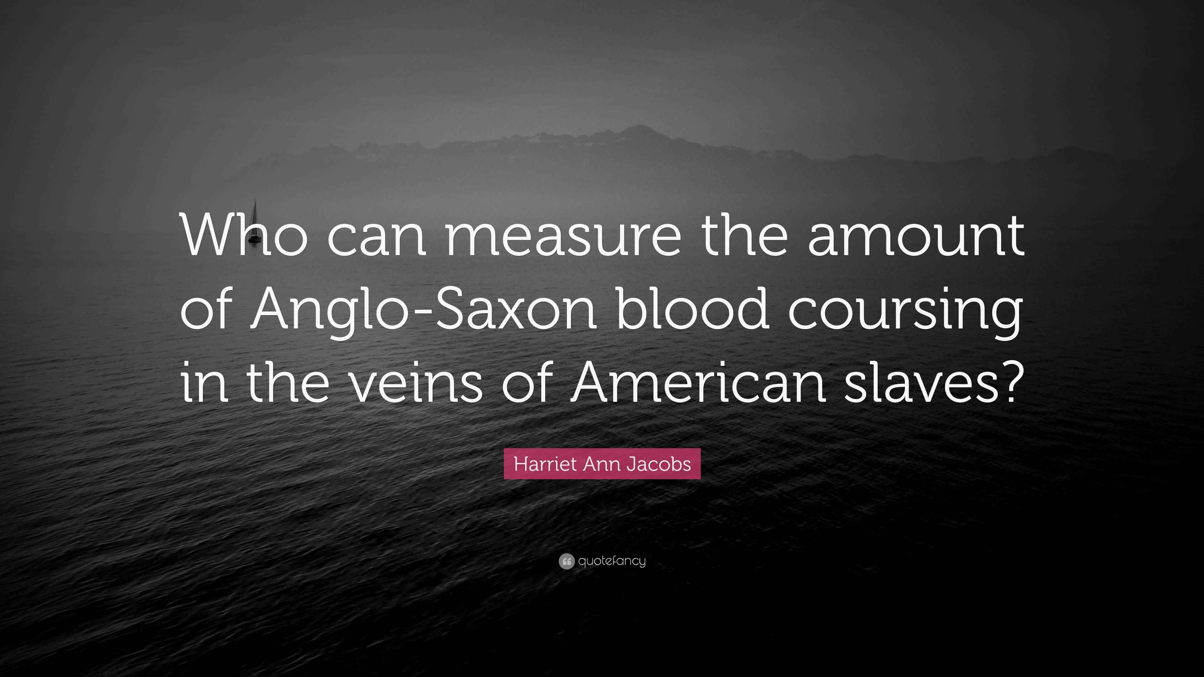 Harriet Ann Jacobs Quote: “Who can measure the amount of Anglo-Saxon ...