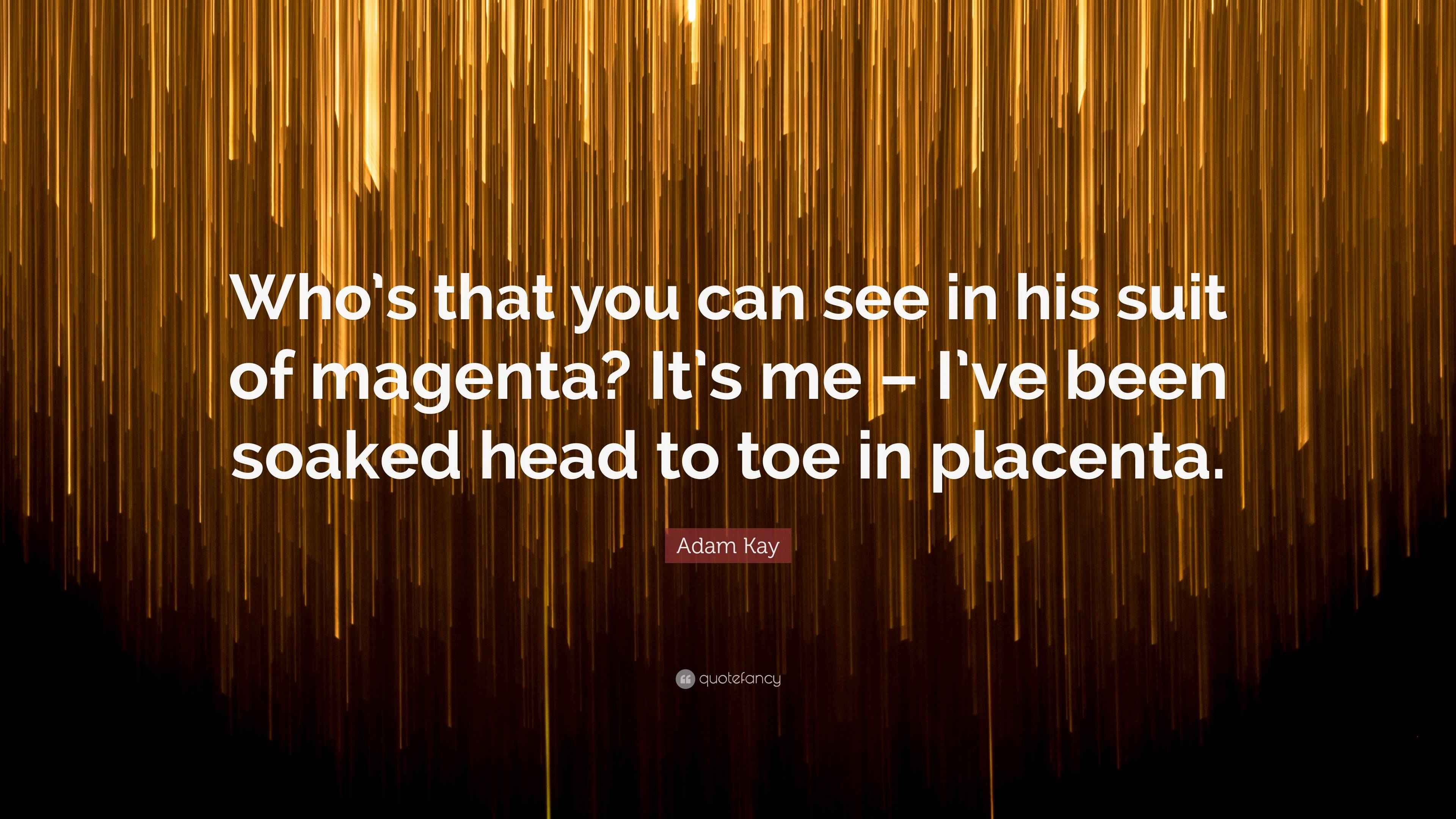 Adam Kay Quote: “Who’s that you can see in his suit of magenta? It’s me ...