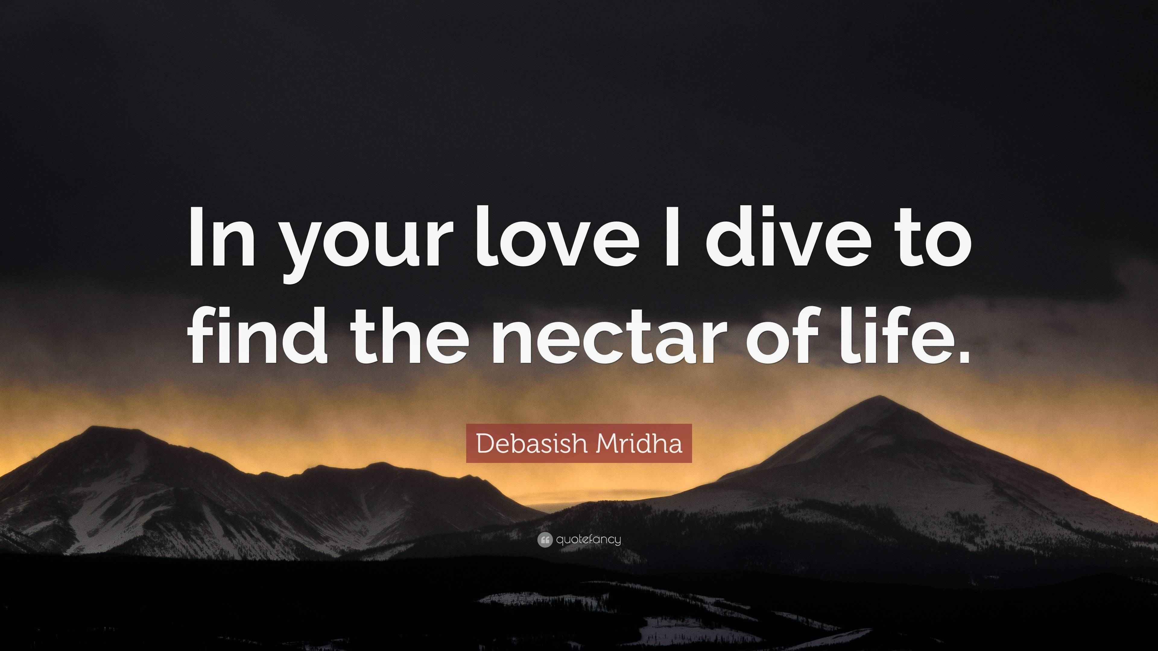 Debasish Mridha Quote: “In your love I dive to find the nectar of life.”