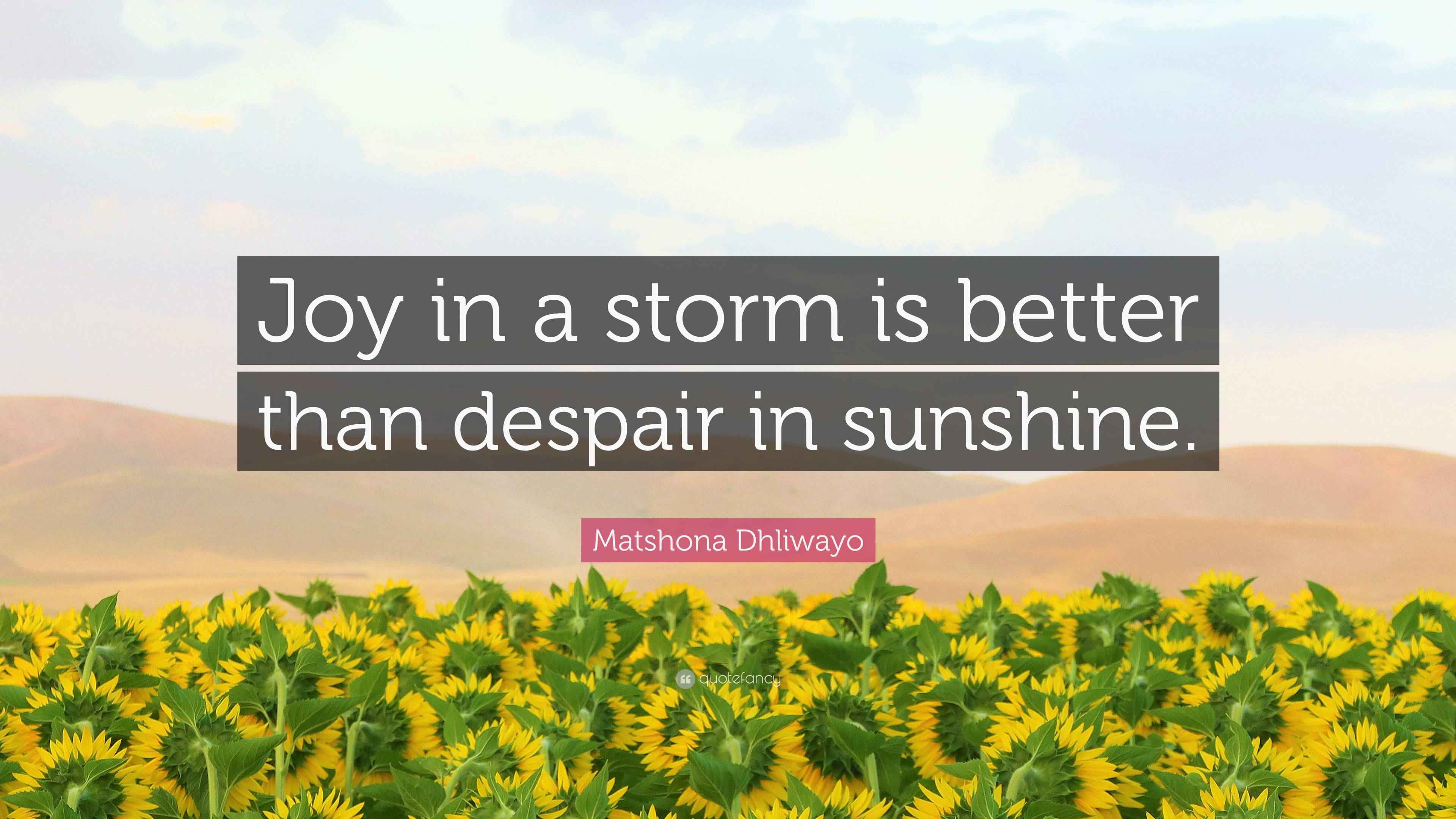 Matshona Dhliwayo Quote: “Joy in a storm is better than despair in ...